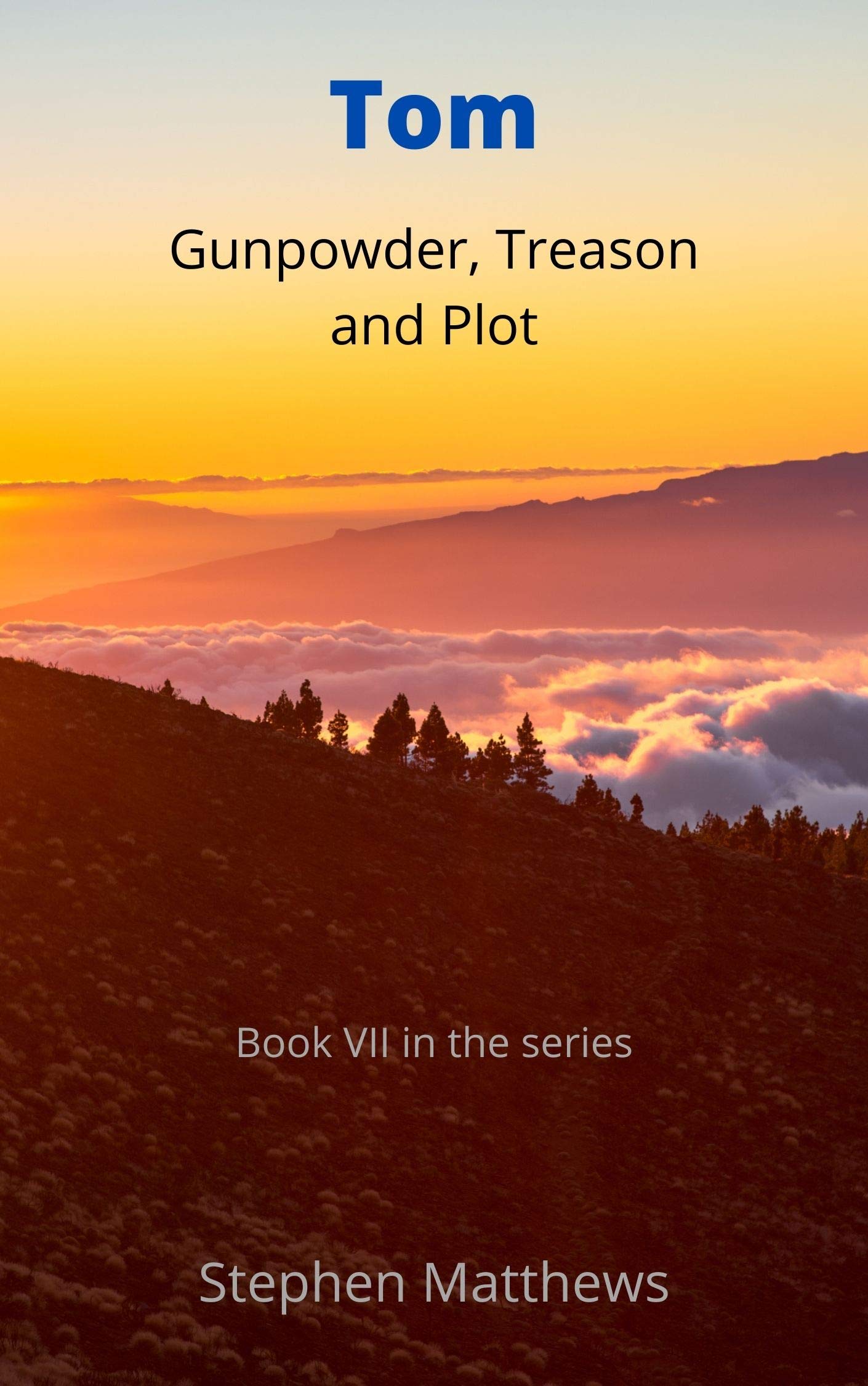 Tom: Gunpowder, Treason and Plot: Book VII in the Tom series. by ...