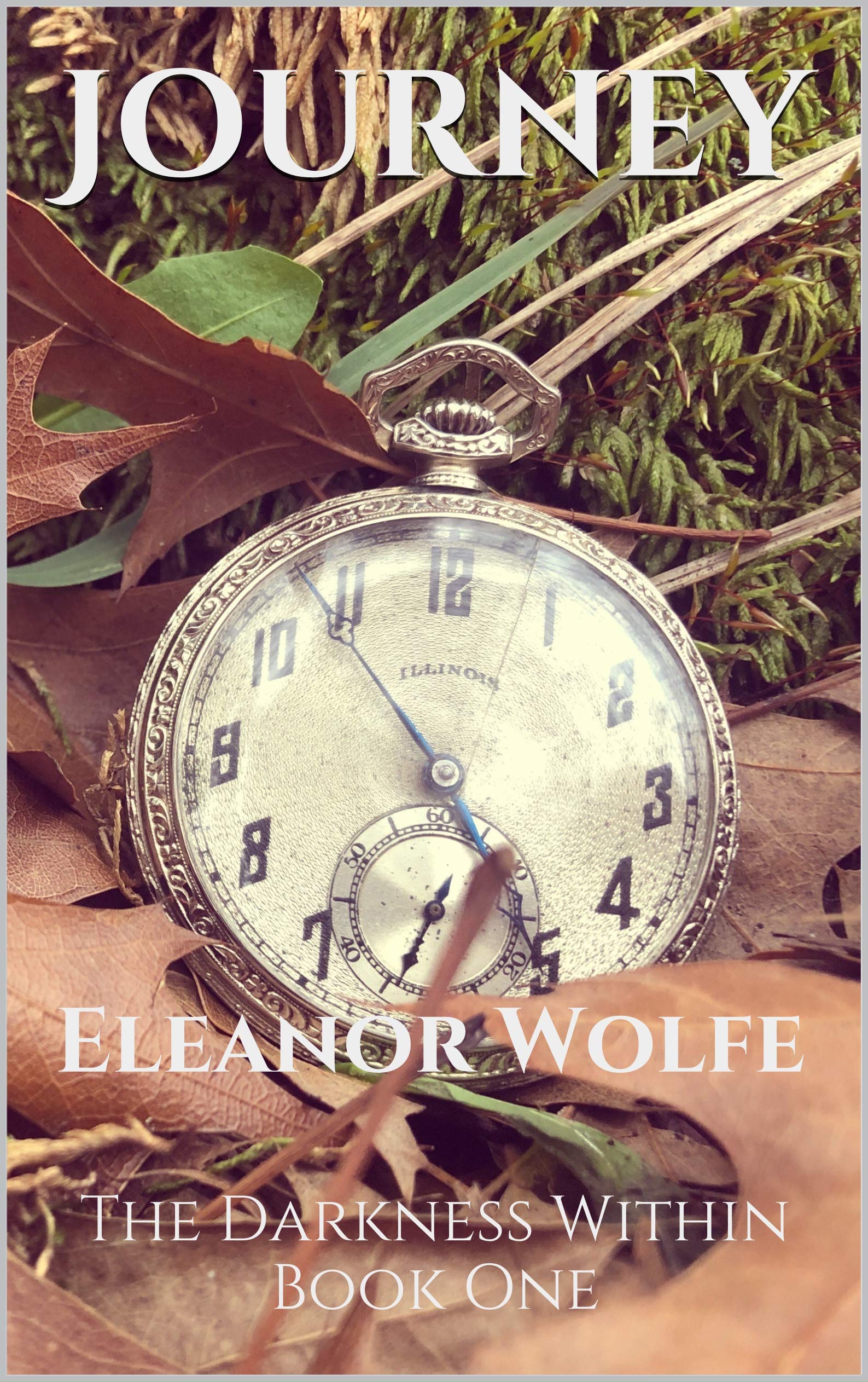 Journey - The Darkness Within Book 1 by Eleanor Wolfe | Goodreads