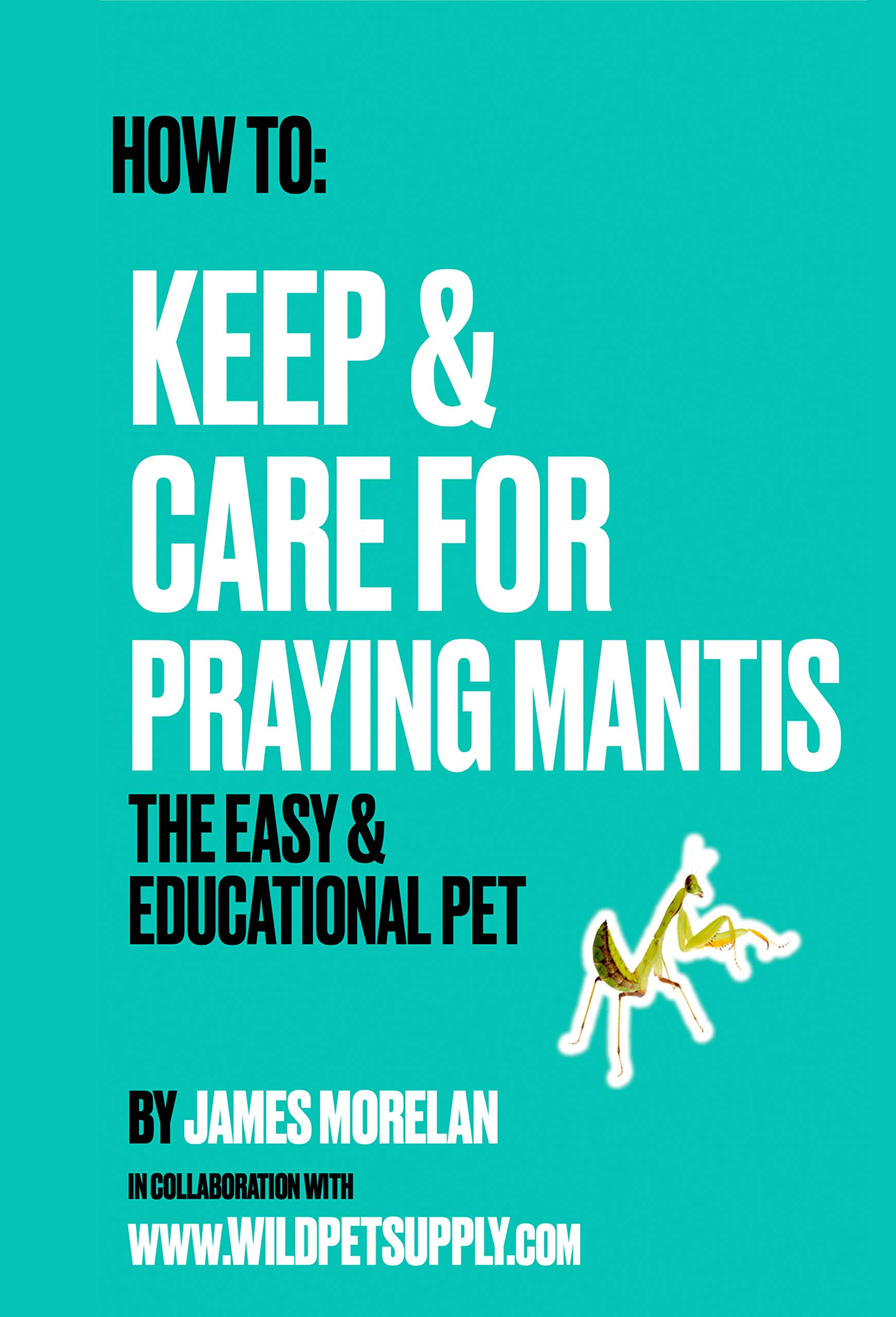 How To: Keep & Care for Praying Mantis: The Easy & Educational Pet: Pet ...