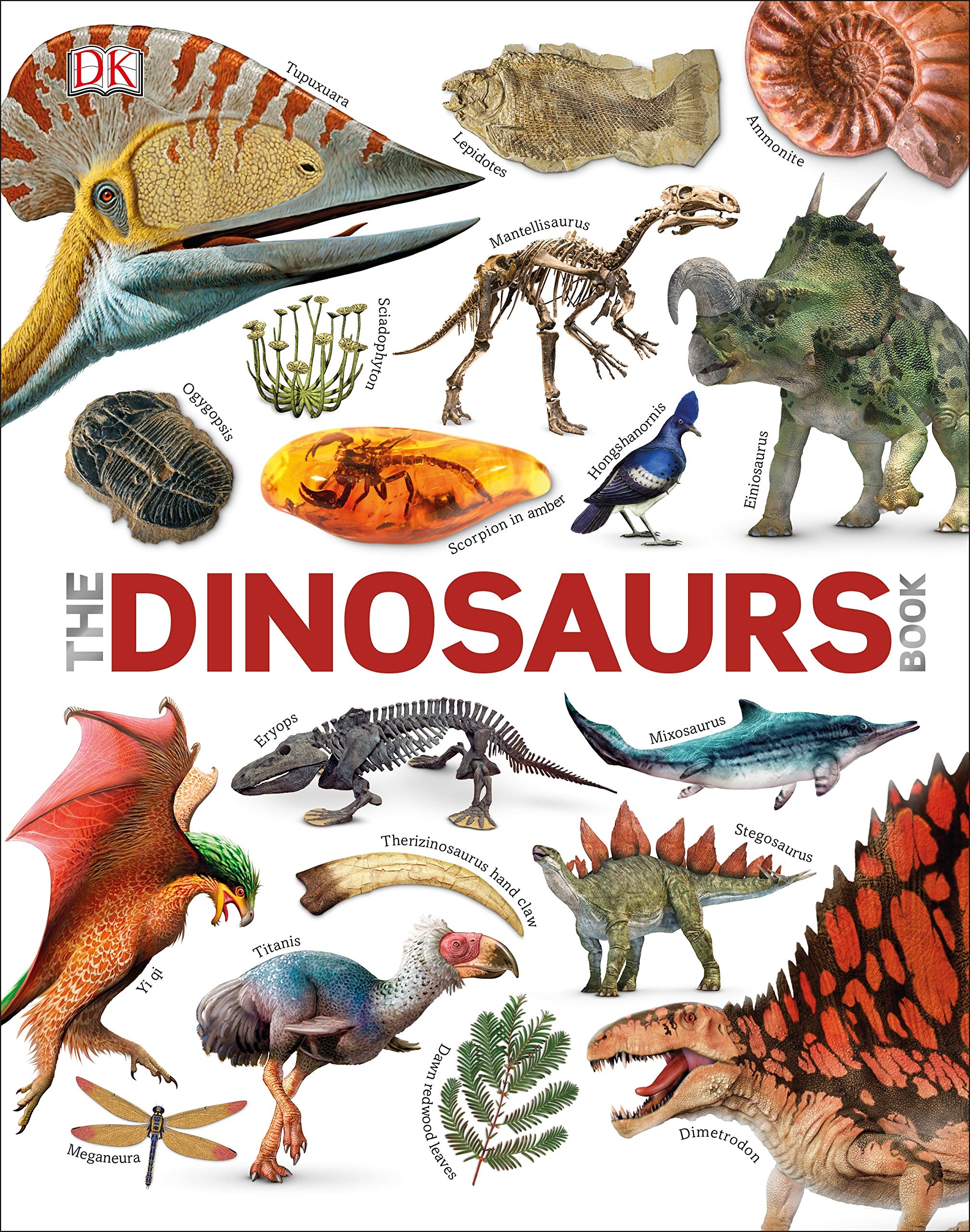 Our World in Pictures The Dinosaurs Book by D.K. Publishing | Goodreads