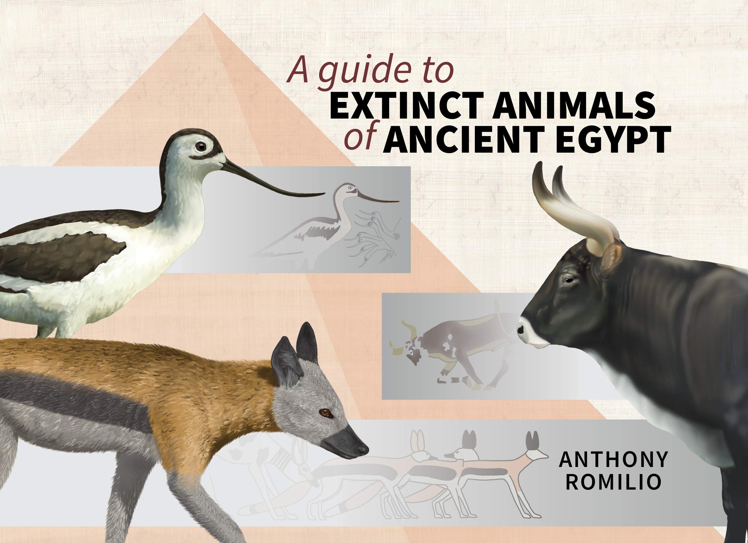 A guide to Extinct Animals of Ancient Egypt by Anthony Romilio | Goodreads