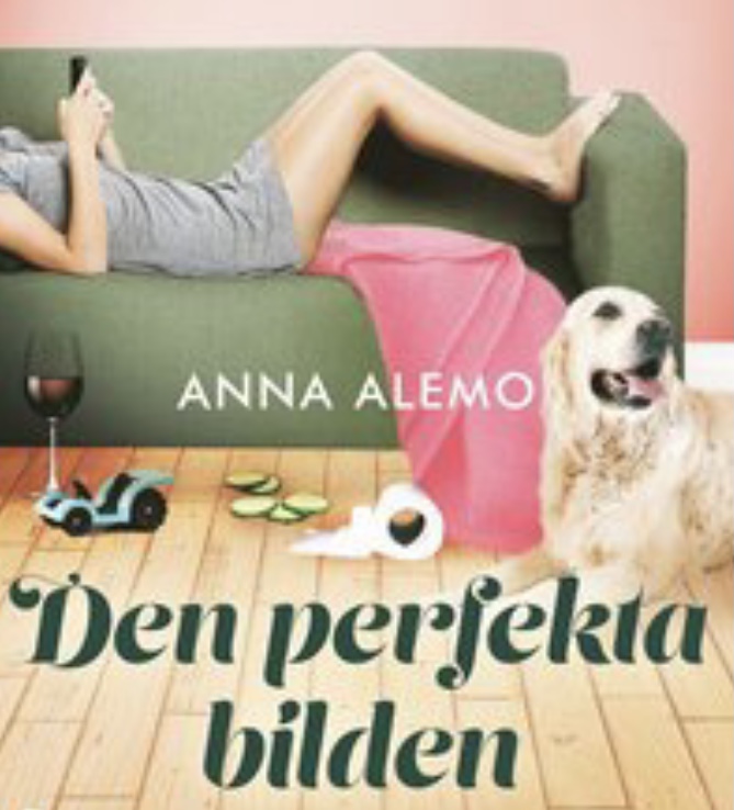Den perfekta bilden by Anna Alemo | Goodreads