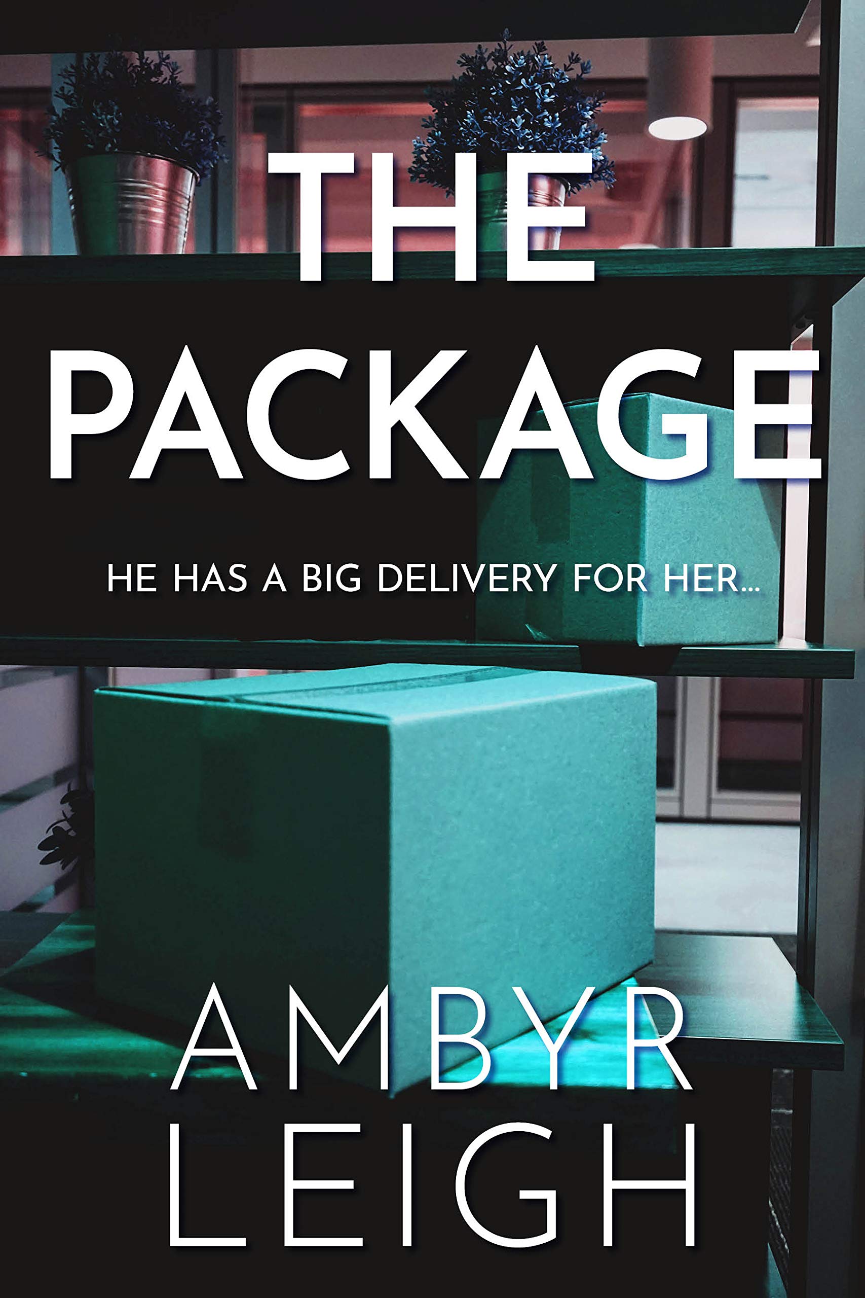 The Package (A Stranger Hookup Short) by Ambyr Leigh | Goodreads