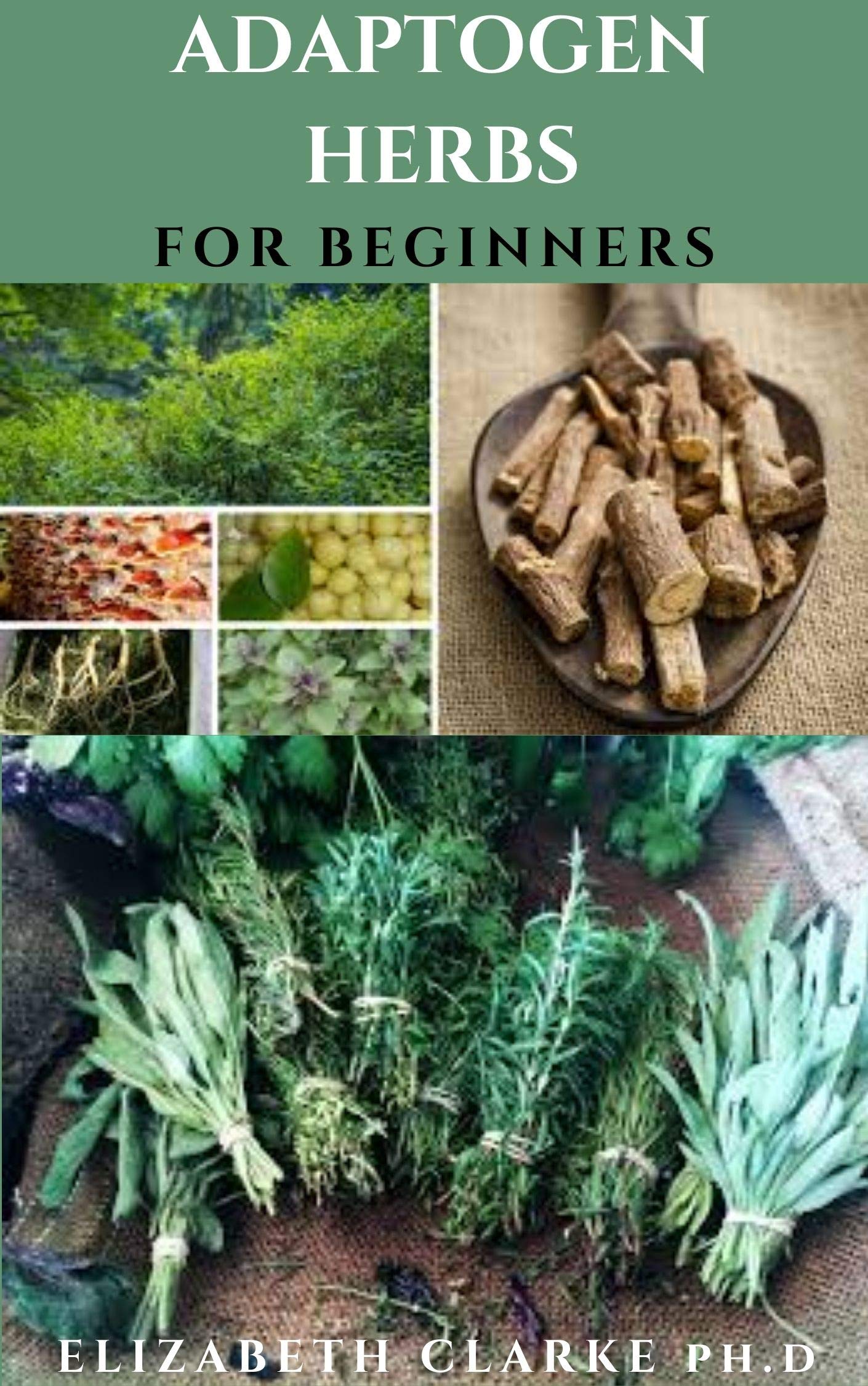 ADAPTOGEN HERBS FOR BEGINNERS: everything You Need To Know About ...