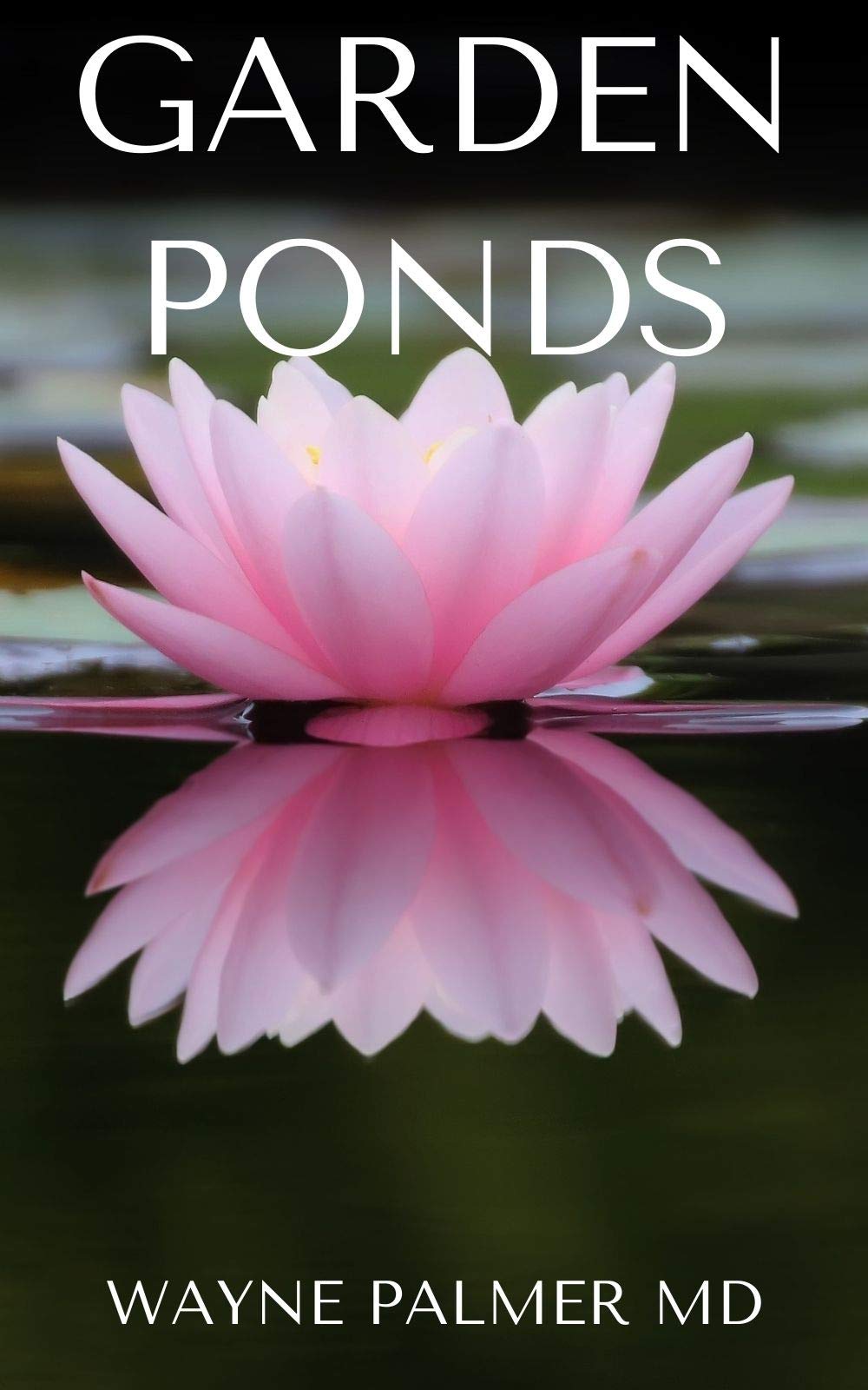 GARDEN PONDS : All You Need To Know ABOUT Creating Your Garden Pond by ...