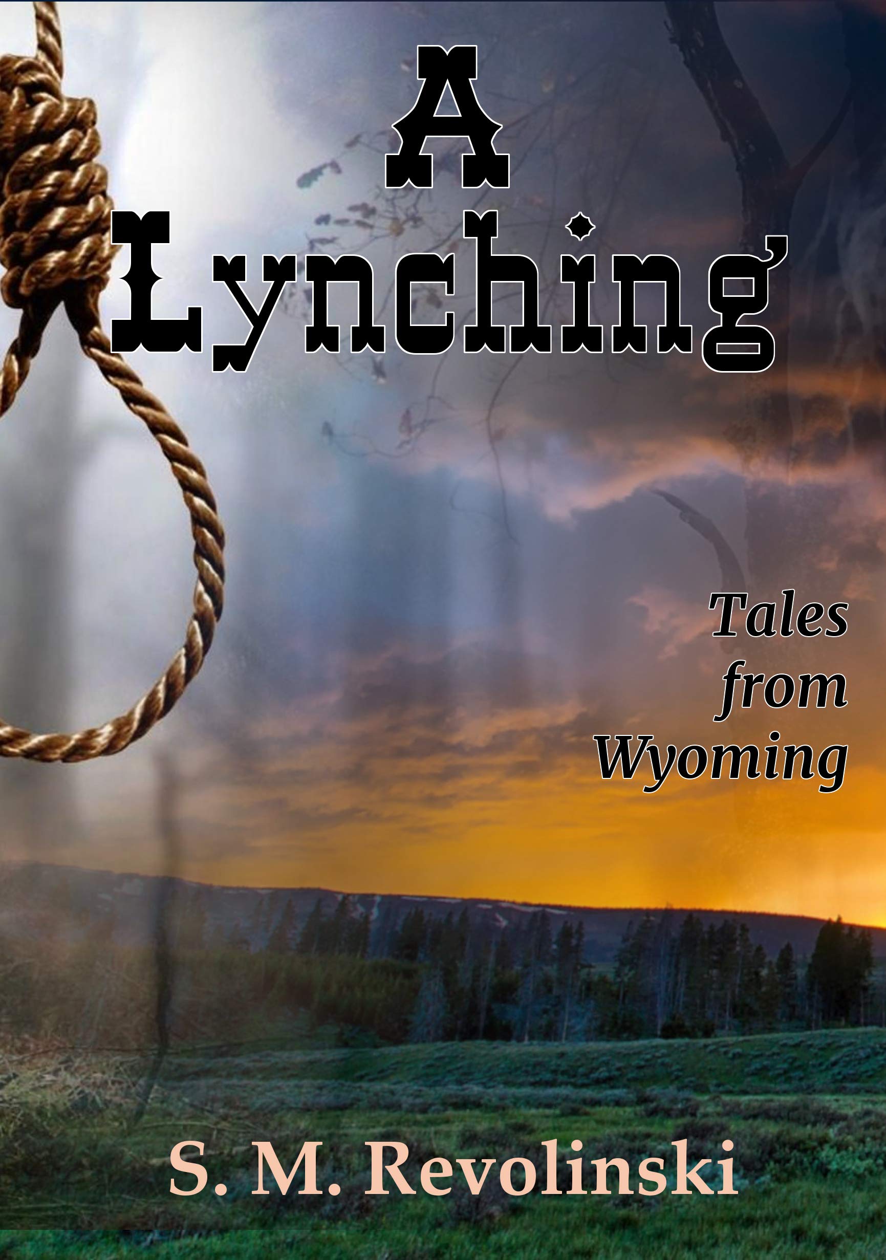 A Lynching: Justice on the open range by S.M. Revolinski | Goodreads