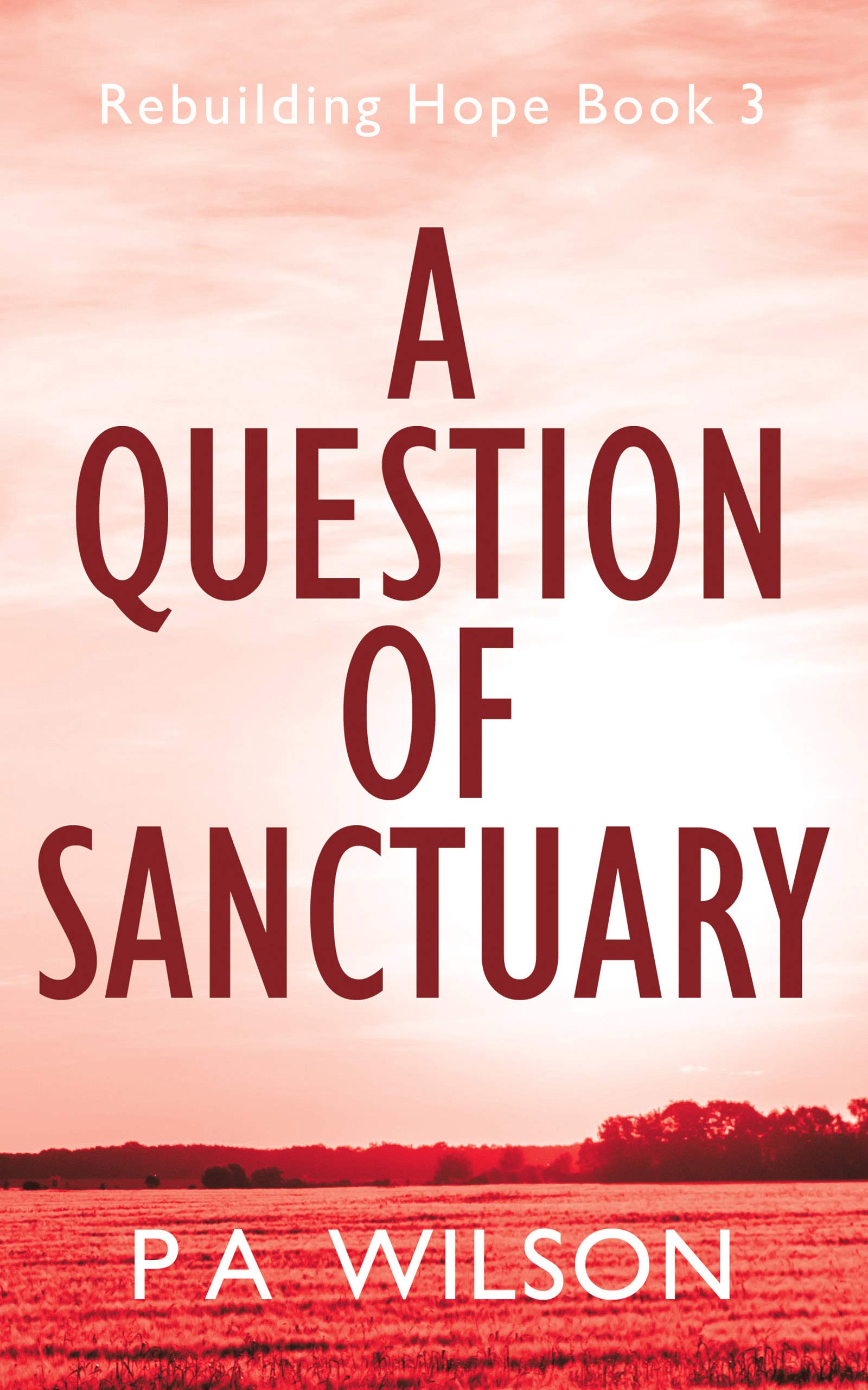 A Question of Sanctuary (Rebuilding Hope #3) by P.A. Wilson | Goodreads