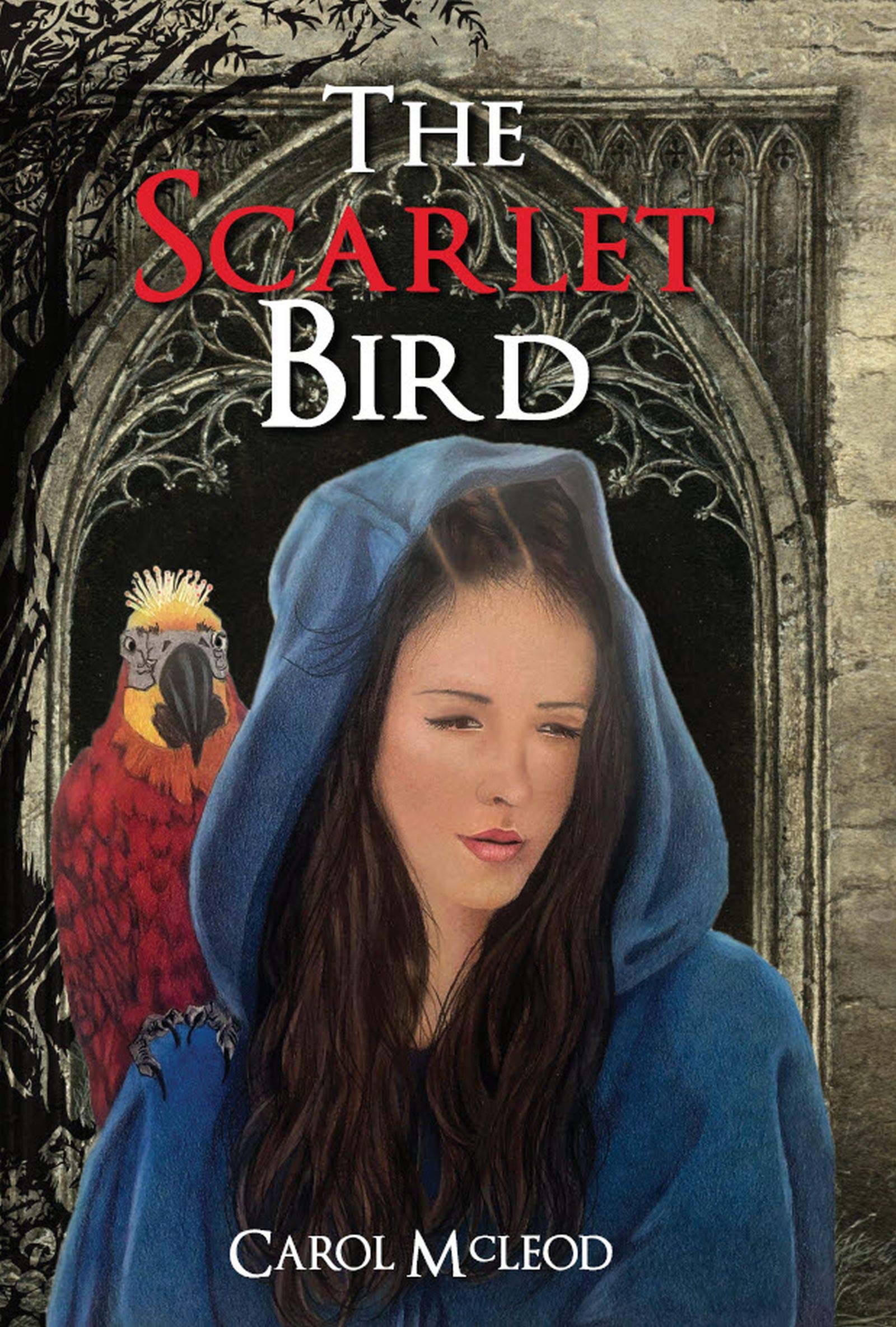 The Scarlet Bird by Carol McLeod | Goodreads
