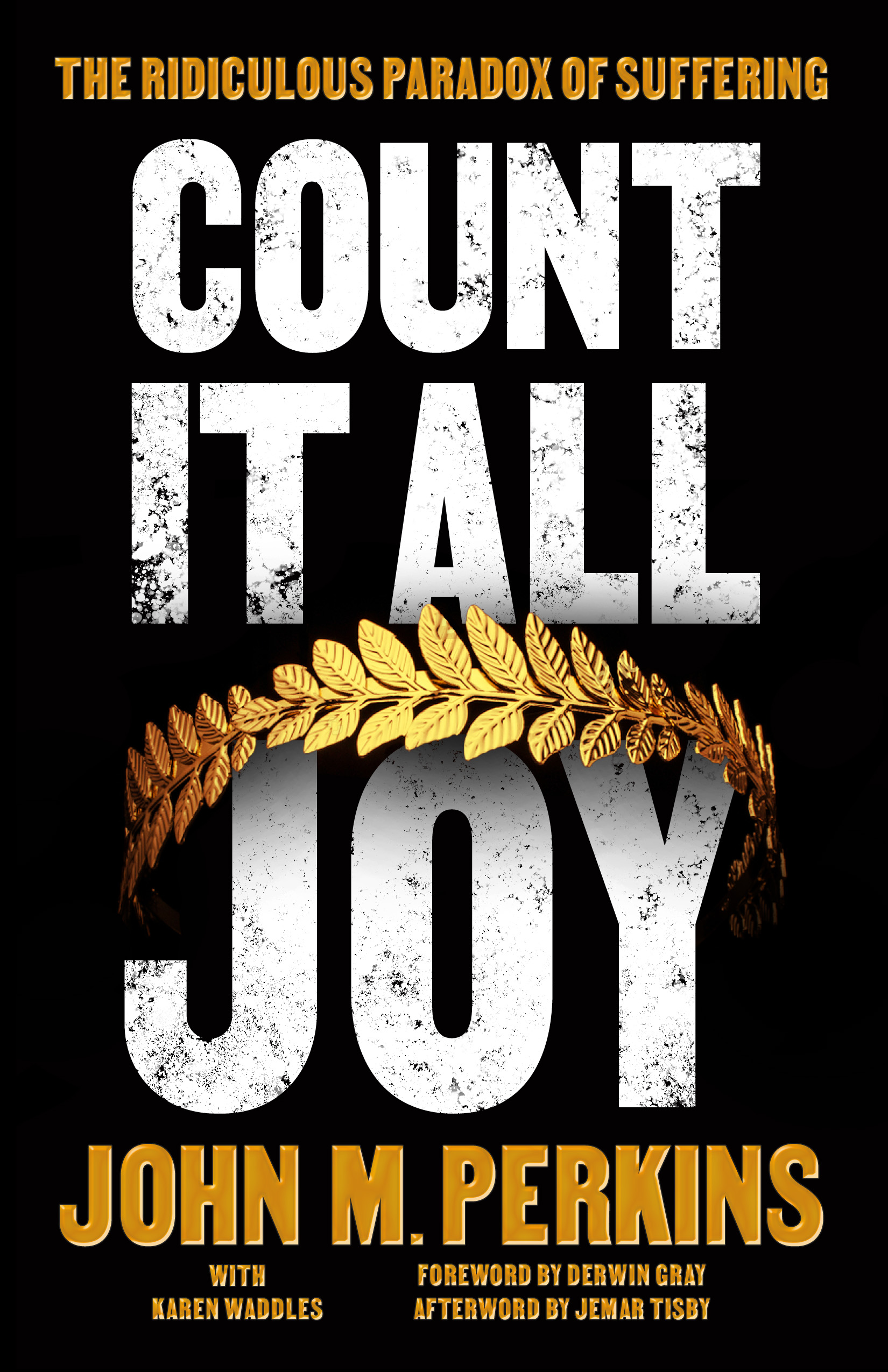 Count It All Joy: The Ridiculous Paradox of Suffering by John M ...