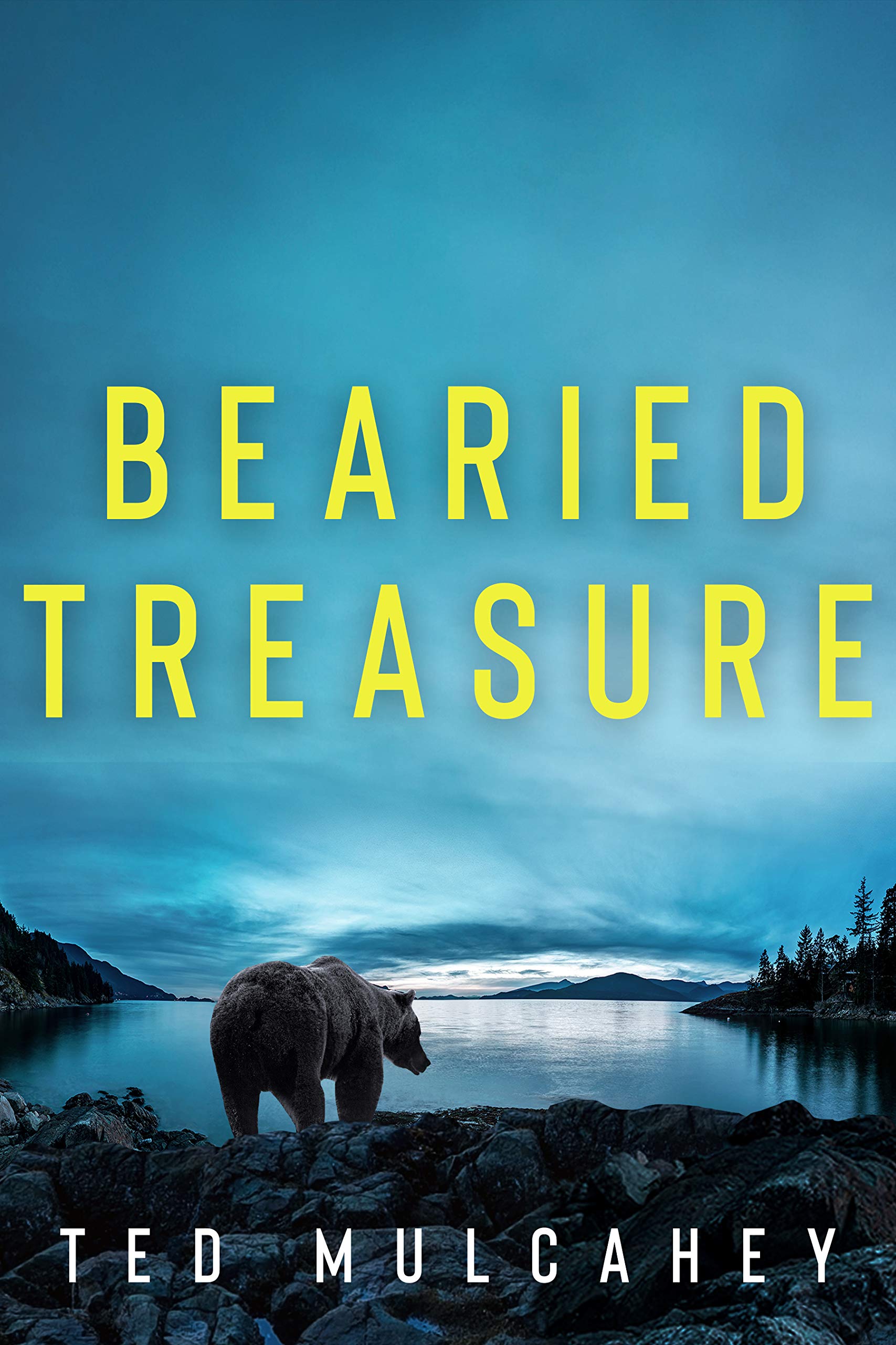 Bearied Treasure (The O'Malley Adventures Book 1) by Ted Mulcahey ...