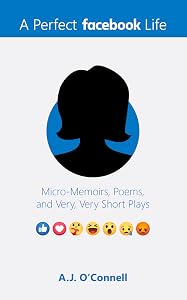 A Perfect Facebook Life: Micro-Memoirs, Poems, and Very, Very Short ...