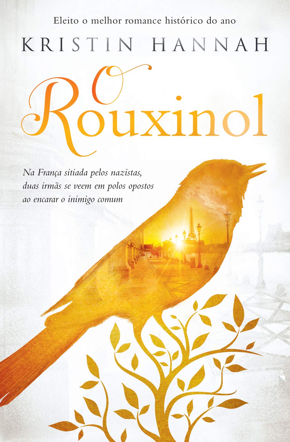 Rouxinol Canto Do Rouxinol