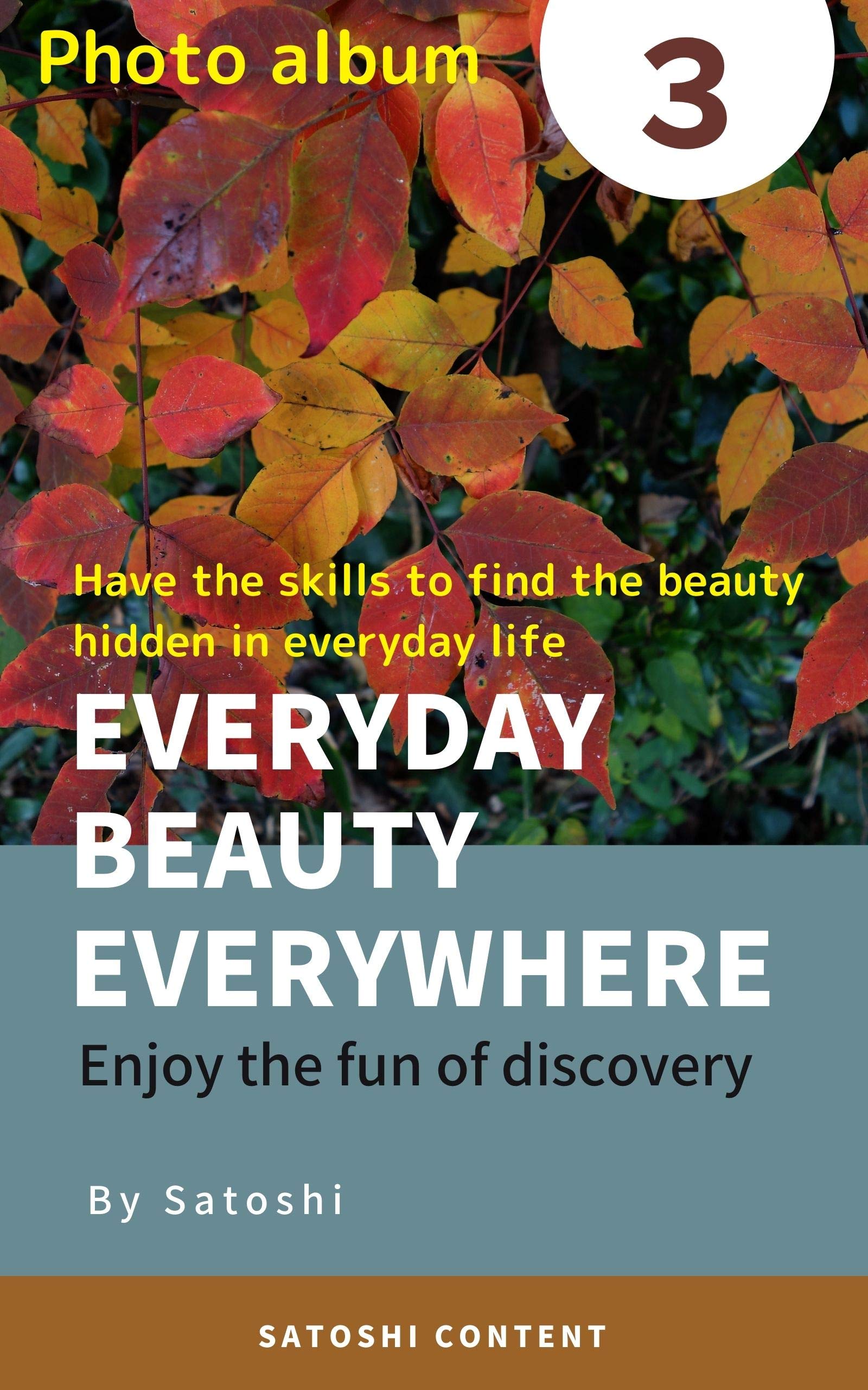 Everyday beauty that is everywhere 3: Enjoy the fun of discovery by Satoshi Ito | Goodreads