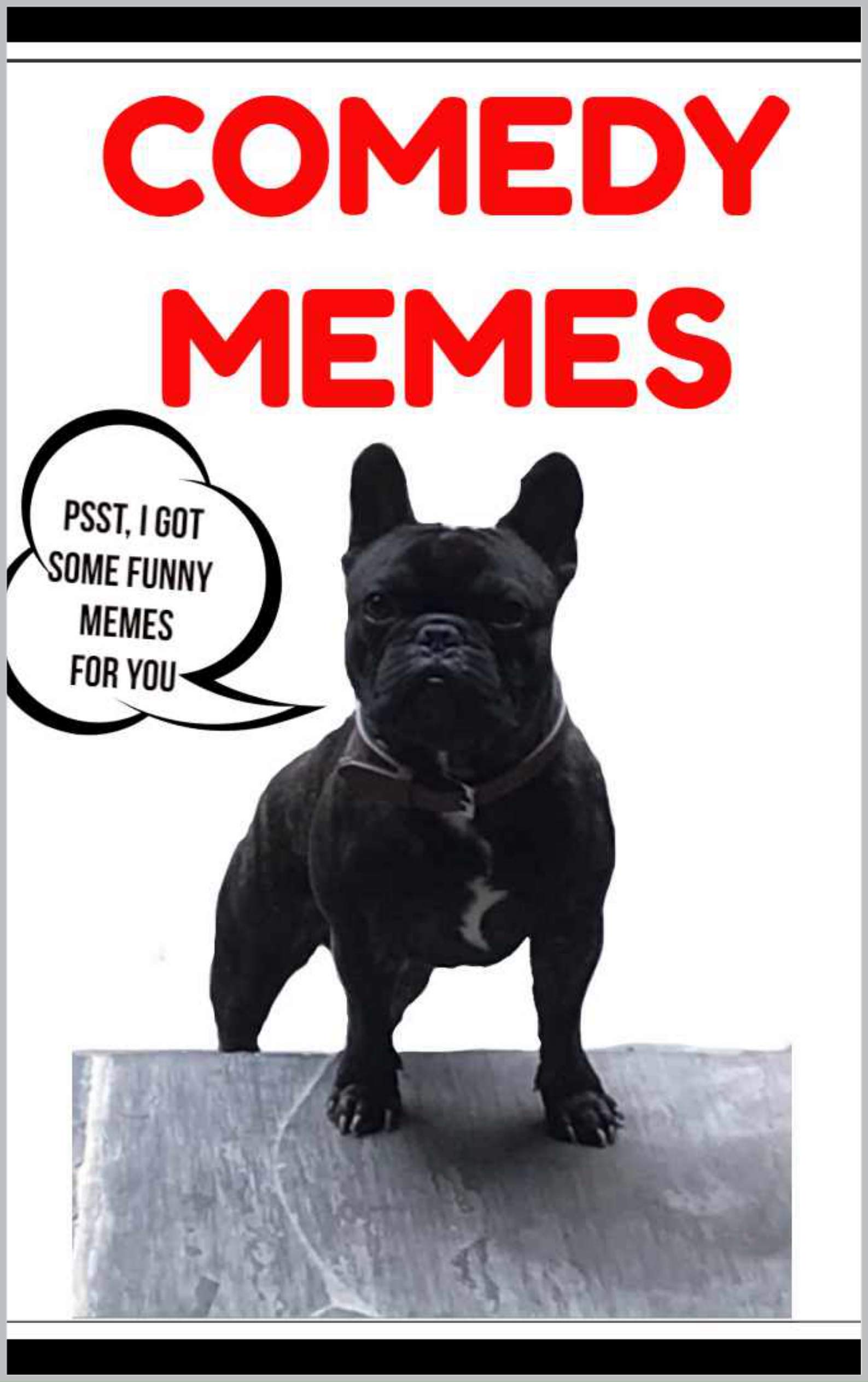 BIG M£M£S BOOK: Hilarious Internet Comedy To Chortle And Guffaw Over ...