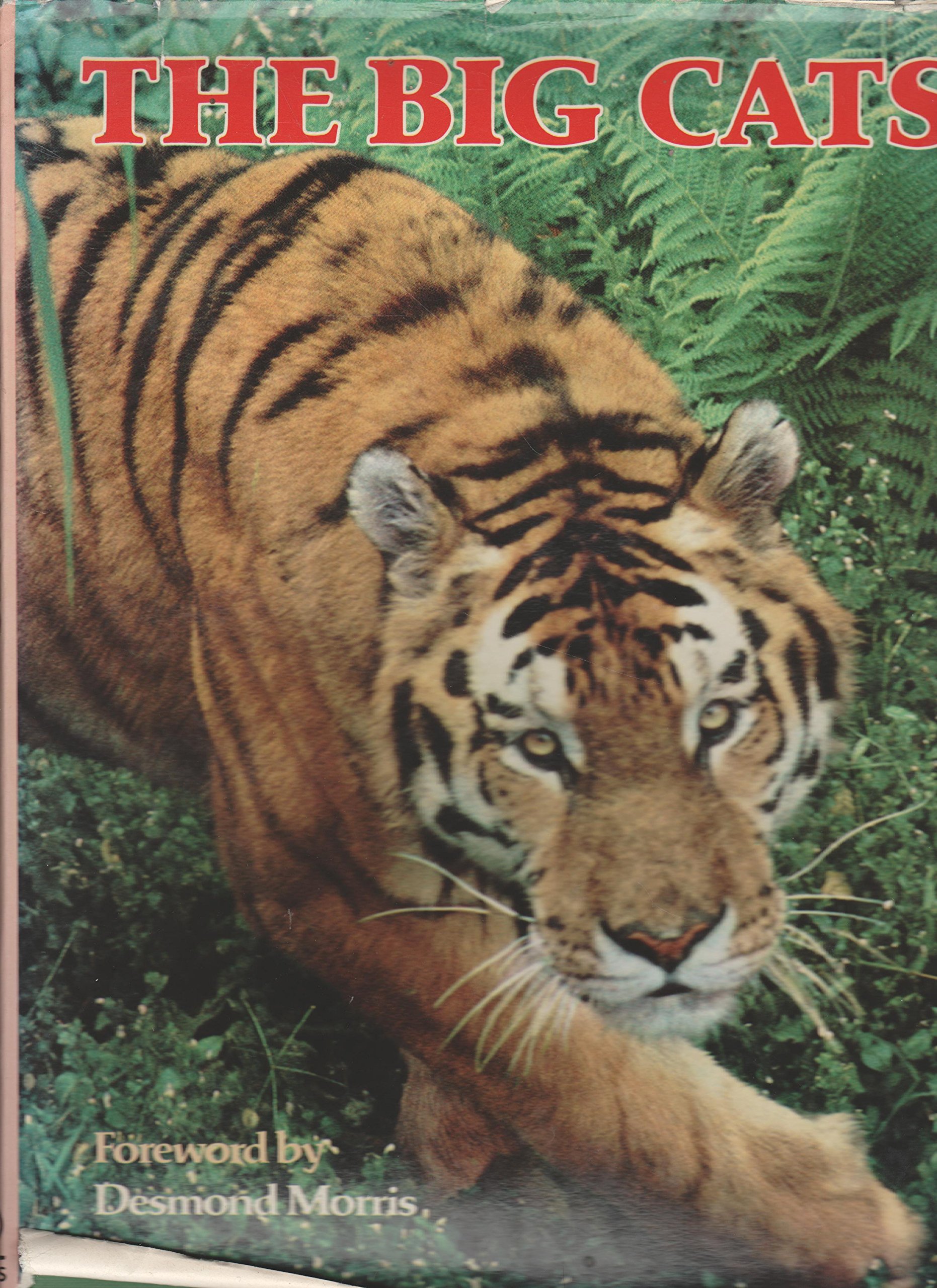 The Big Cats by Guido Badino | Goodreads