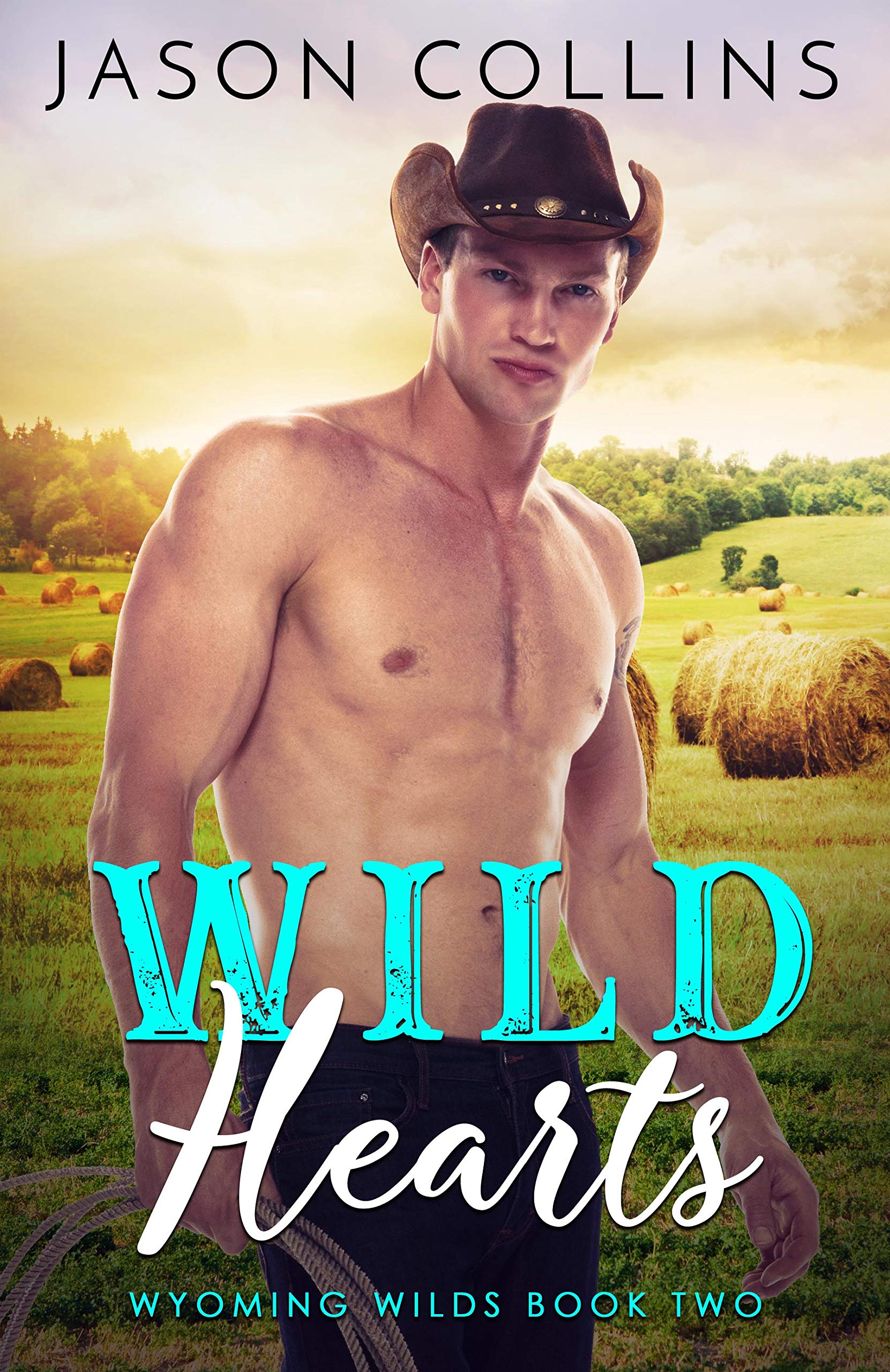 Wild Hearts (Wyoming Wilds #2) by Jason Collins | Goodreads