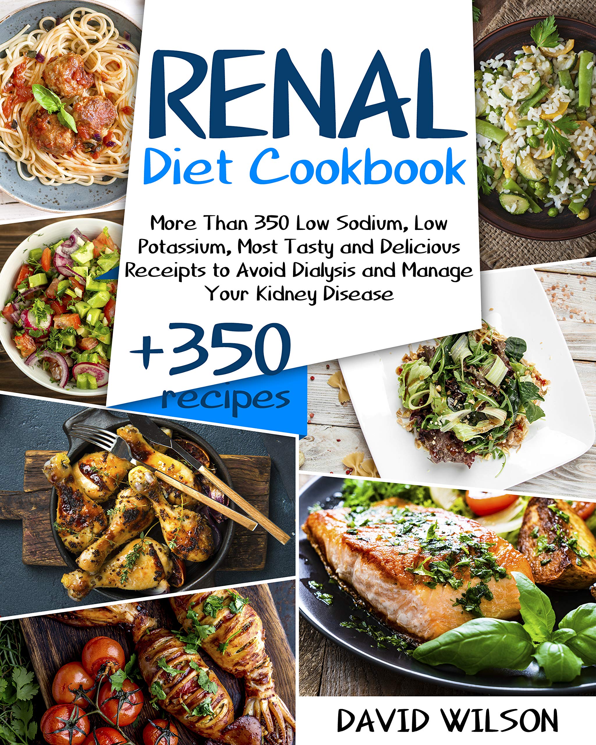 Renal Diet Cookbook for Beginners: More than 350 Low Sodium, Low Potassium, Most Tasty and ...