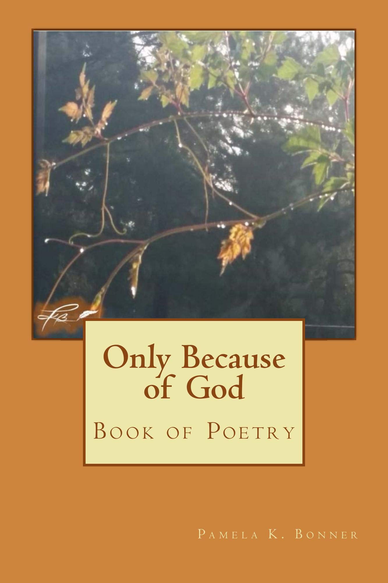 Only Because of God by Pamela K. Bonner | Goodreads