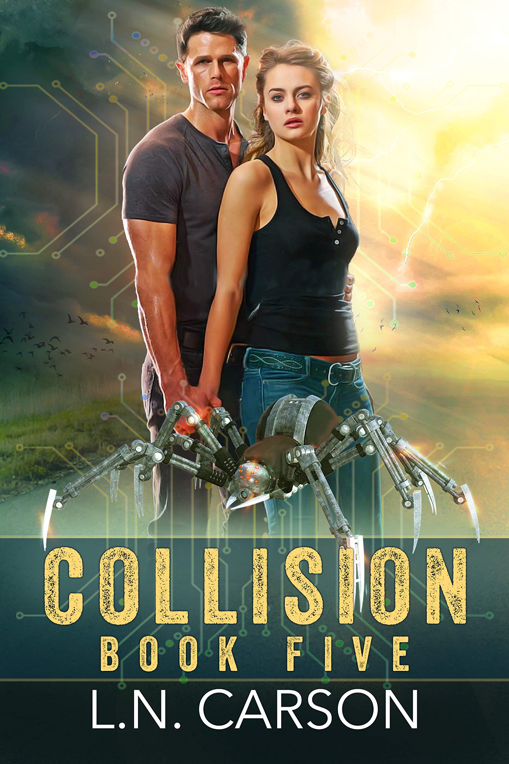 Collision: Book 5 by L.N. Carson | Goodreads