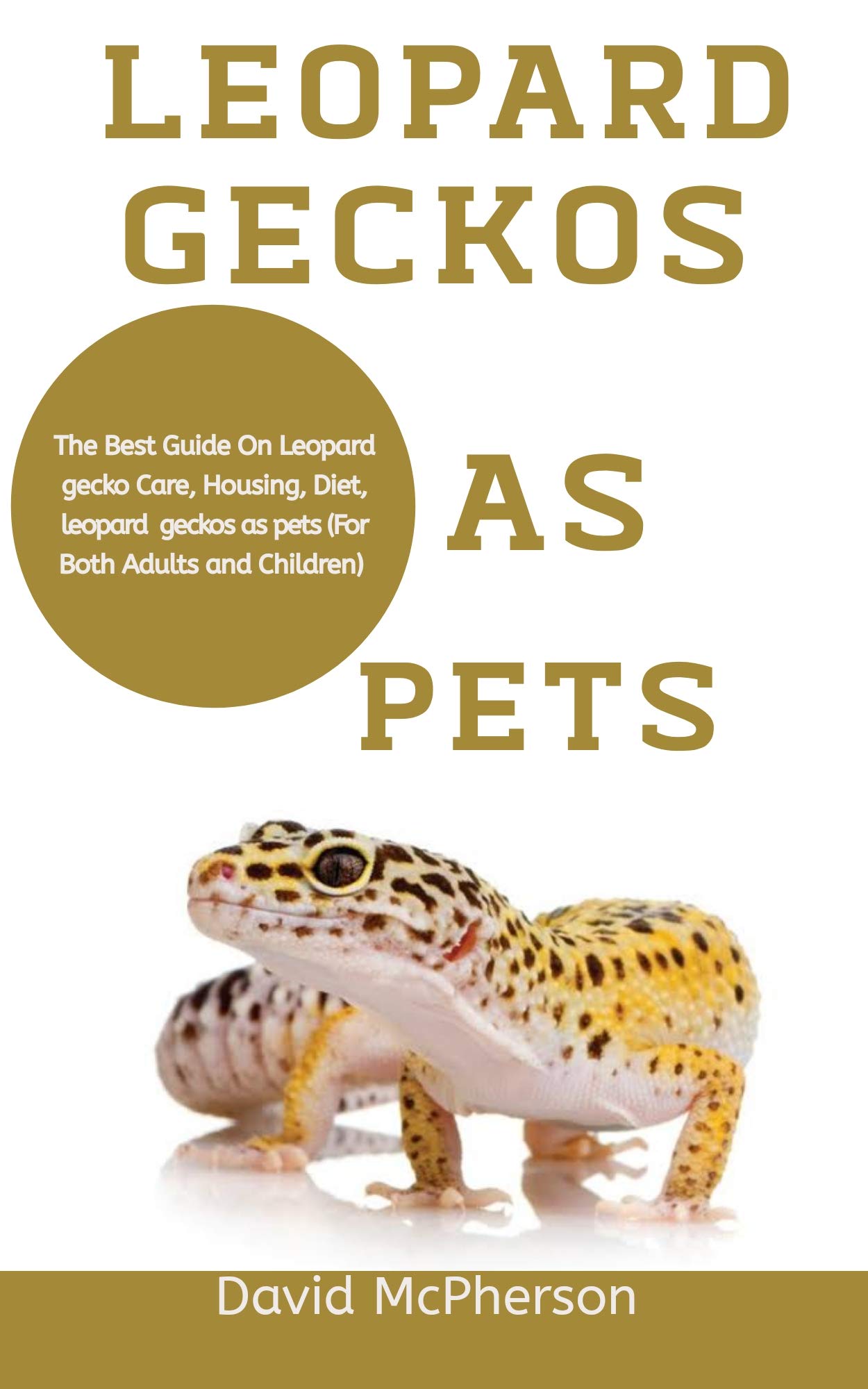 Leopard Geckos As Pets: The best guide on leopard gecko care, housing ...