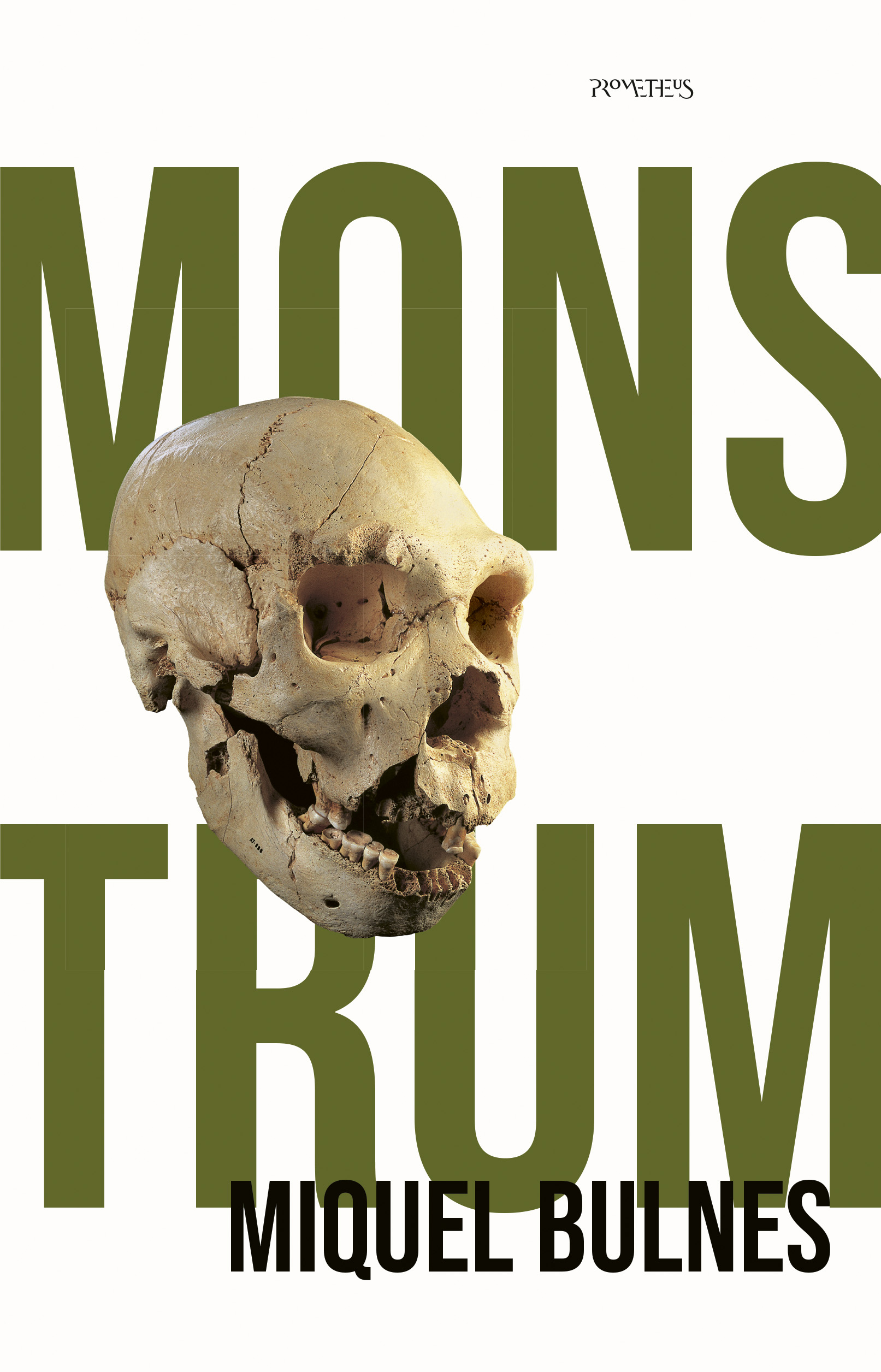 Monstrum by Miquel Bulnes | Goodreads