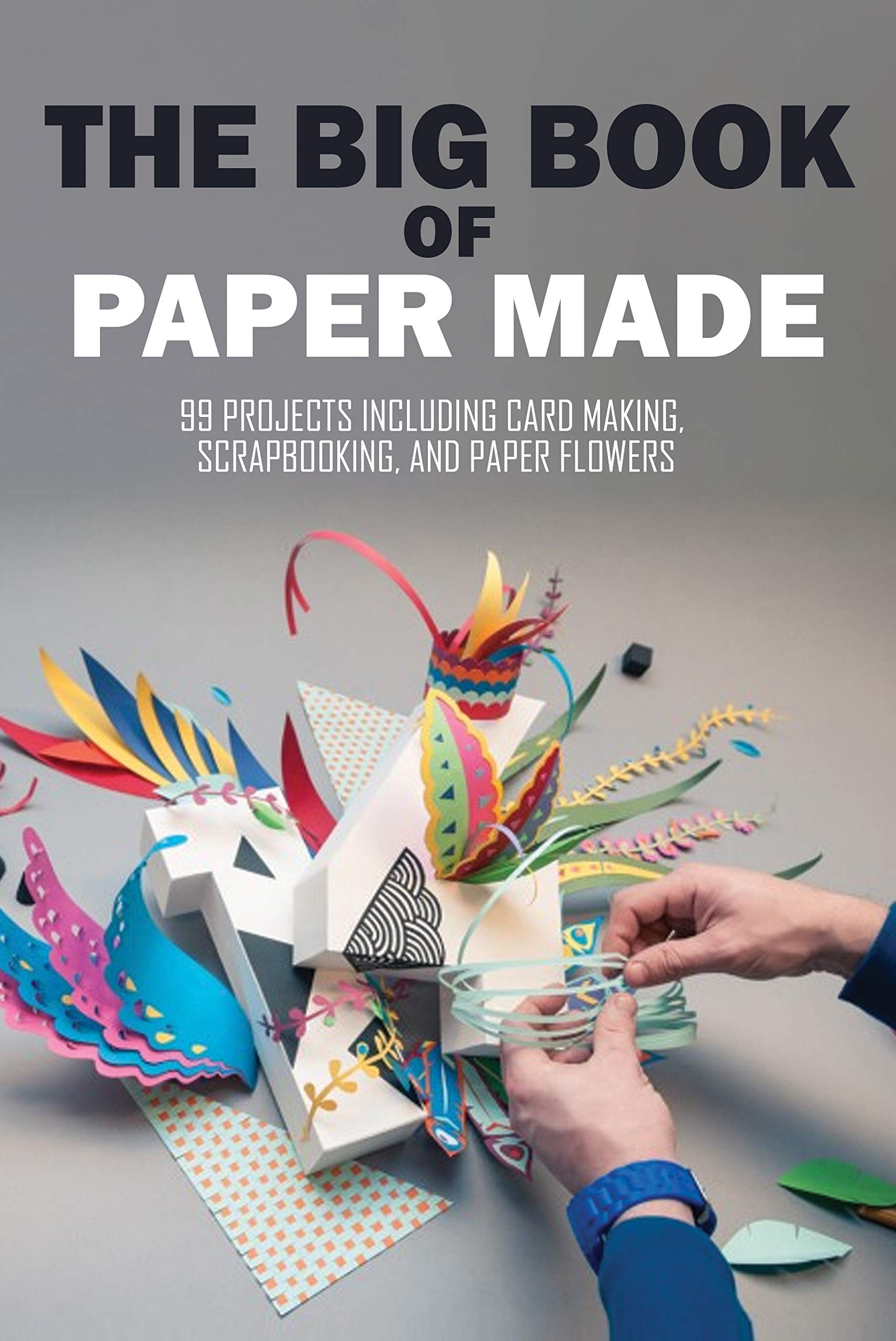 The Big Book Of Paper Made: 99 Projects Including Card Making ...