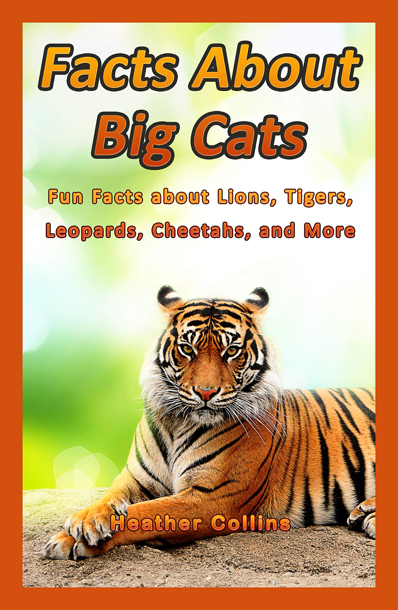 Facts about Big Cats: Fun Facts about Lions, Tigers, Leopards, Cheetahs ...