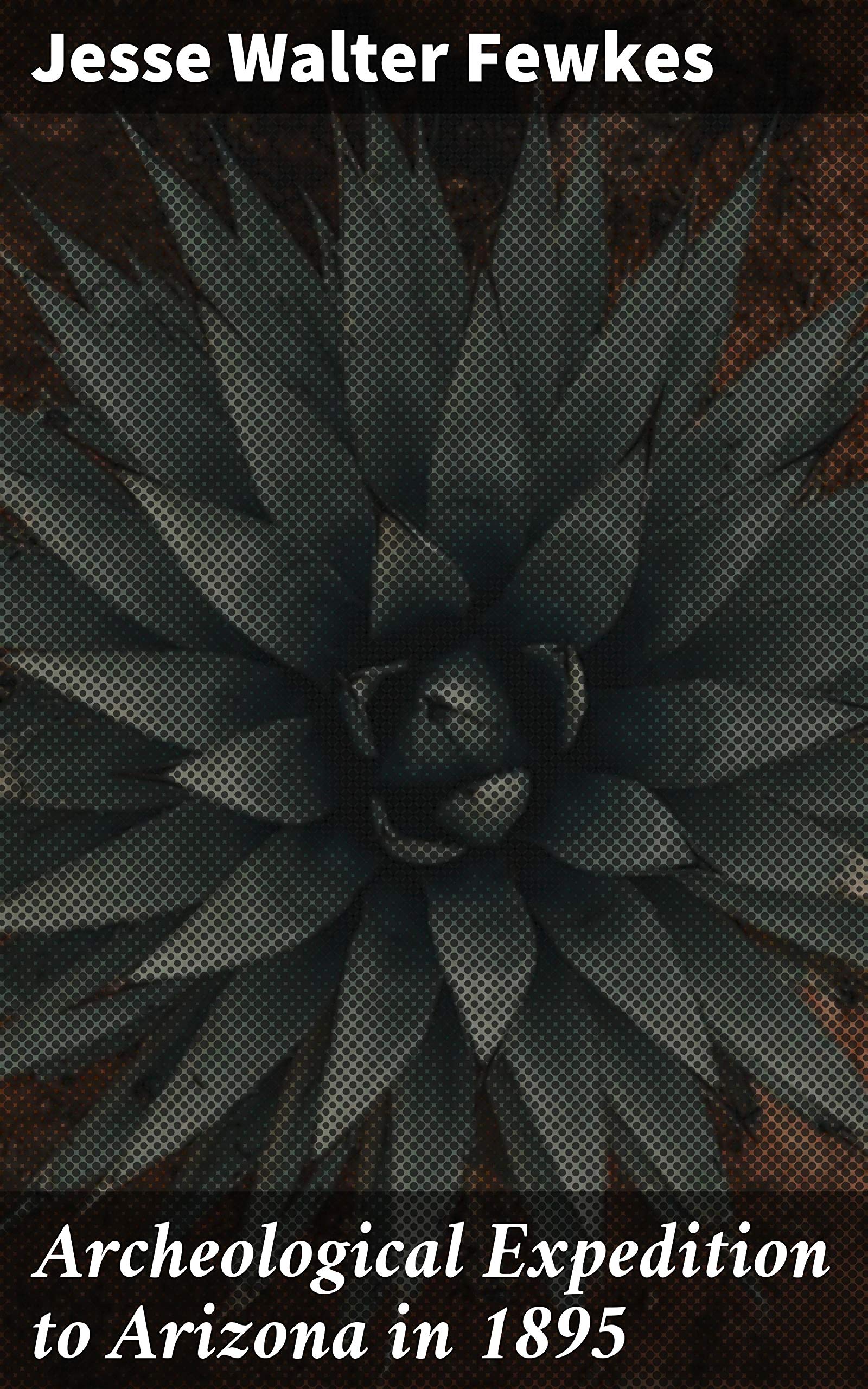 Archeological Expedition to Arizona in 1895: Unveiling Ancient Arizona ...