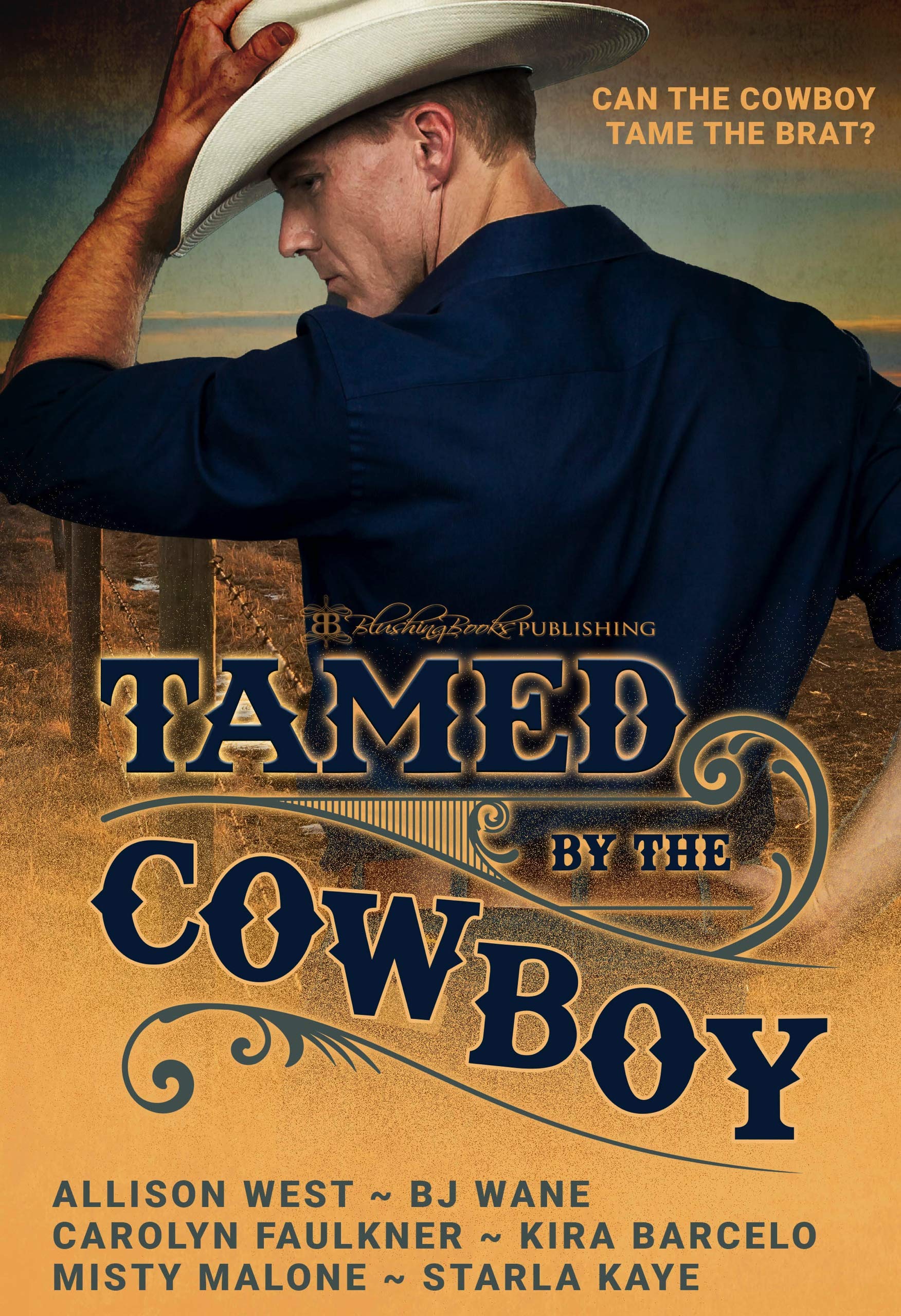 Tamed by the Cowboy by Allison West | Goodreads