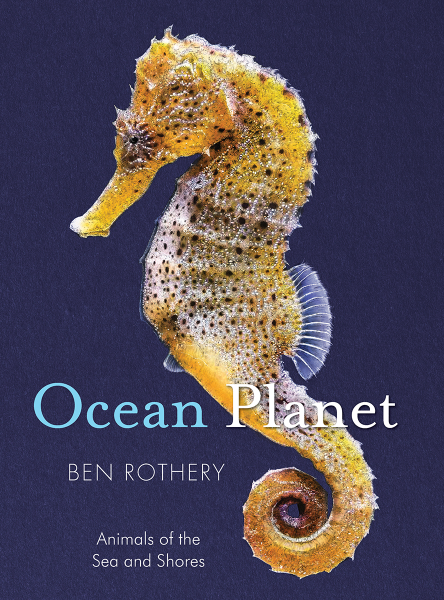 Ocean Planet: Animals of the Sea and Shore by Ben Rothery | Goodreads