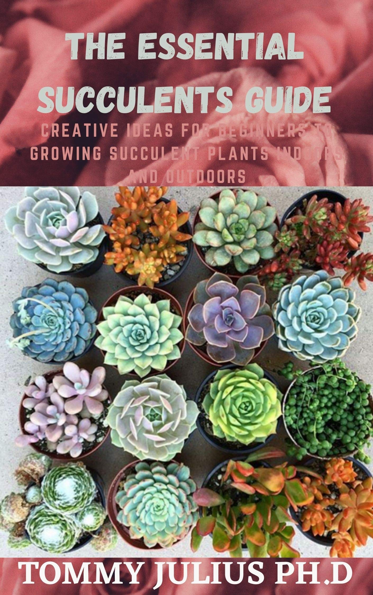 The Essential Succulents Guide: Creative Ideas For Beginners to Growing ...