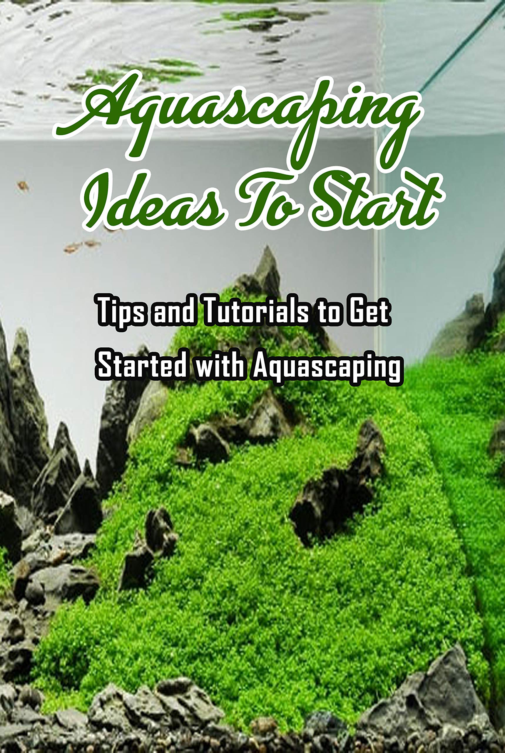 Aquascaping Ideas To Start: Tips and Tutorials to Get Started with ...