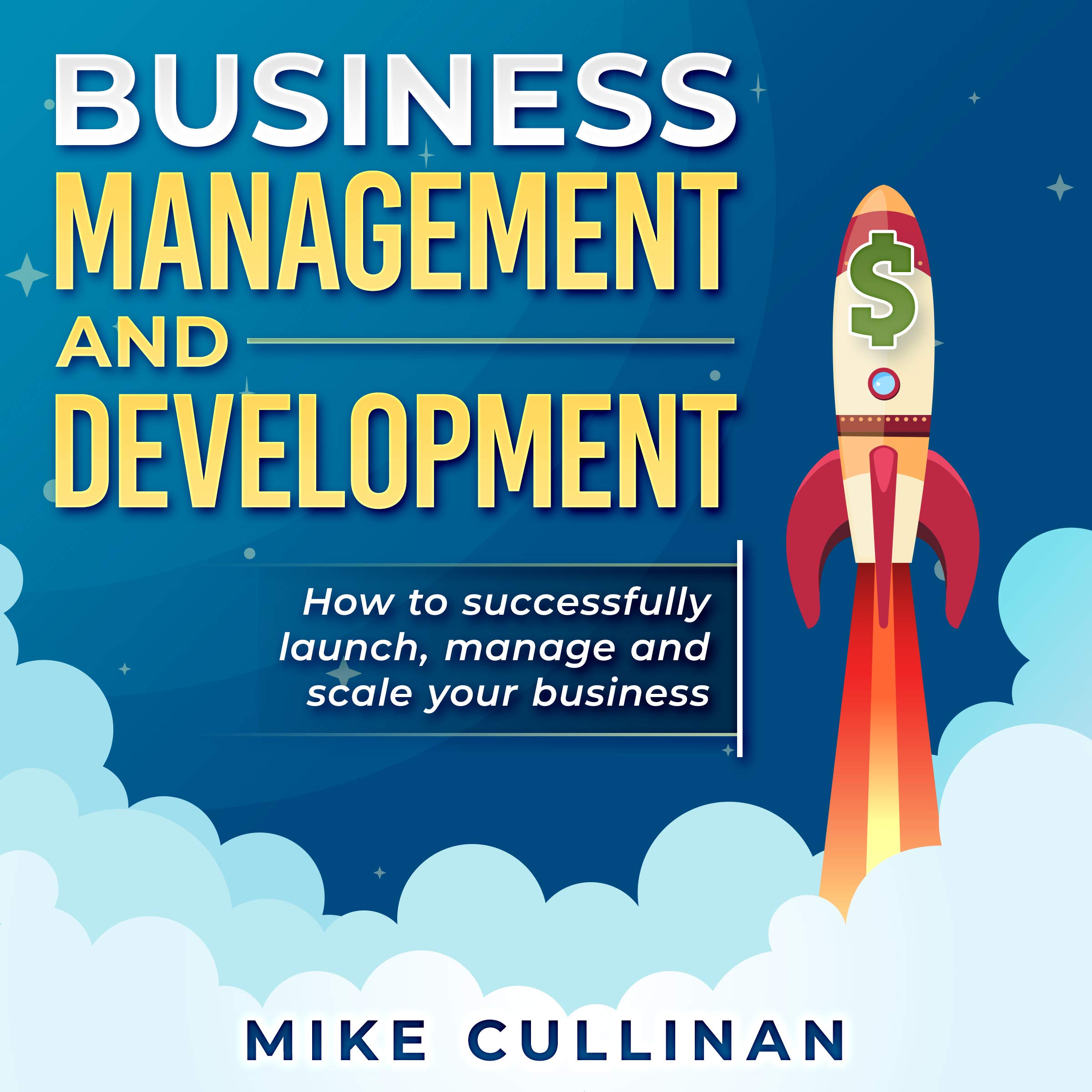 Business Management and Development: How to successfully launch, manage ...