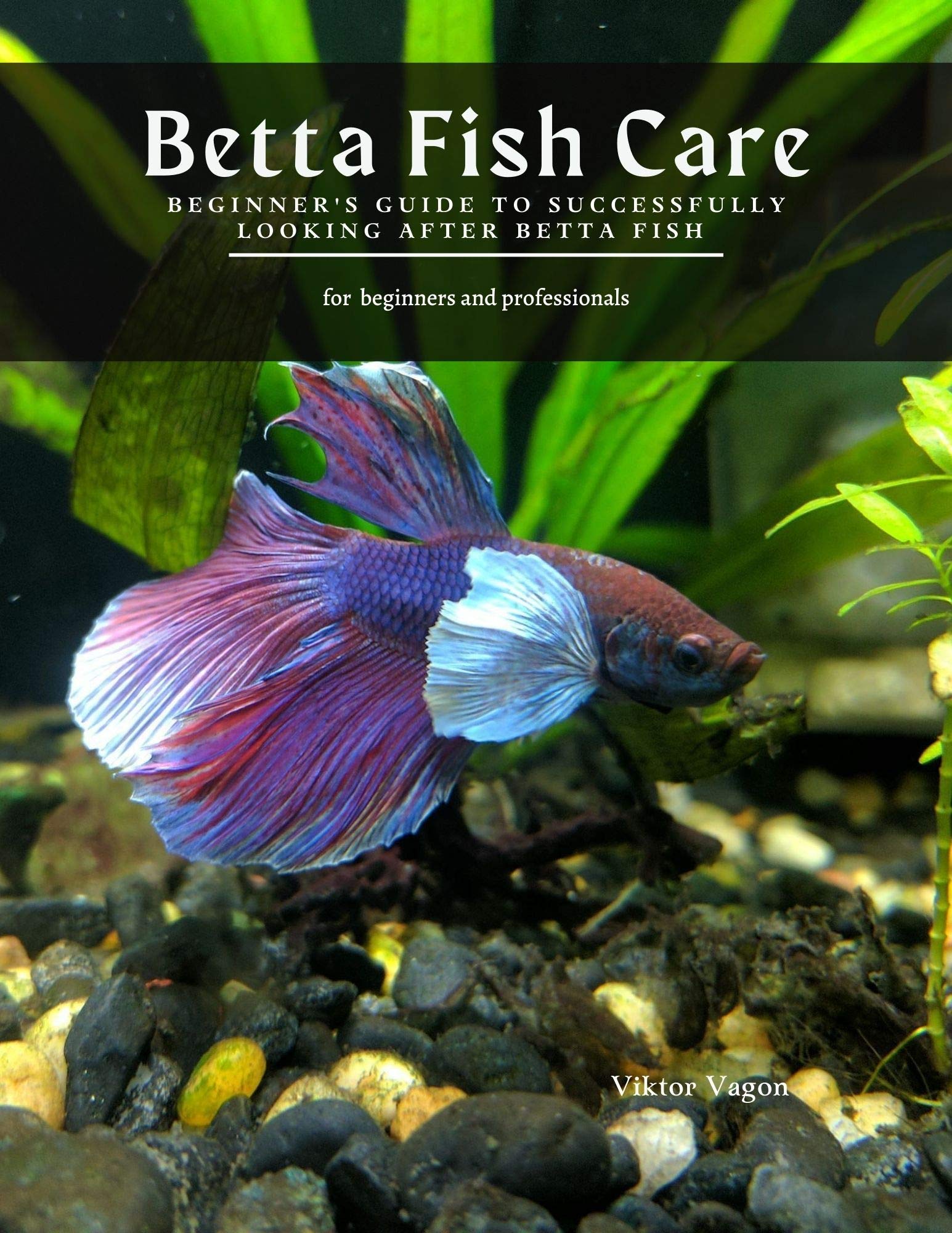 Betta Fish Care: Beginner's Guide to Successfully Looking After Betta ...
