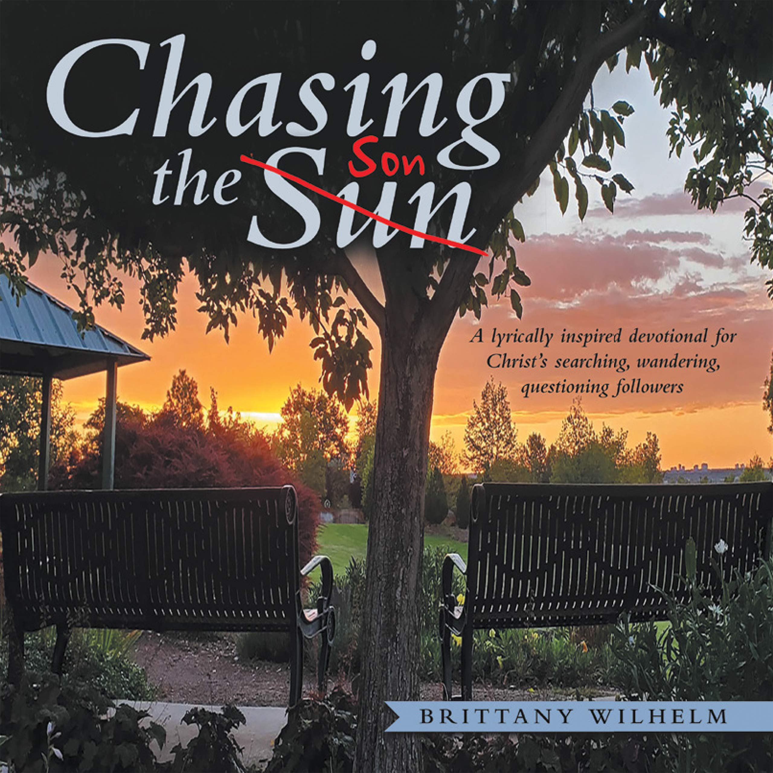 Chasing the Son: A Lyrically Inspired Devotional for Christ’s Searching ...