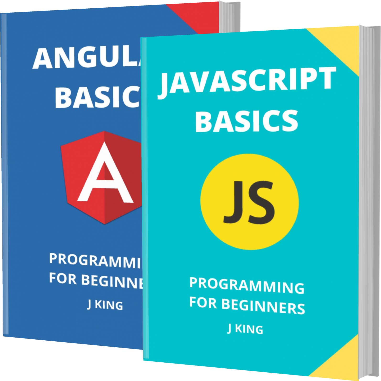 Javascript And Angular Basics Programming For Beginners By J King