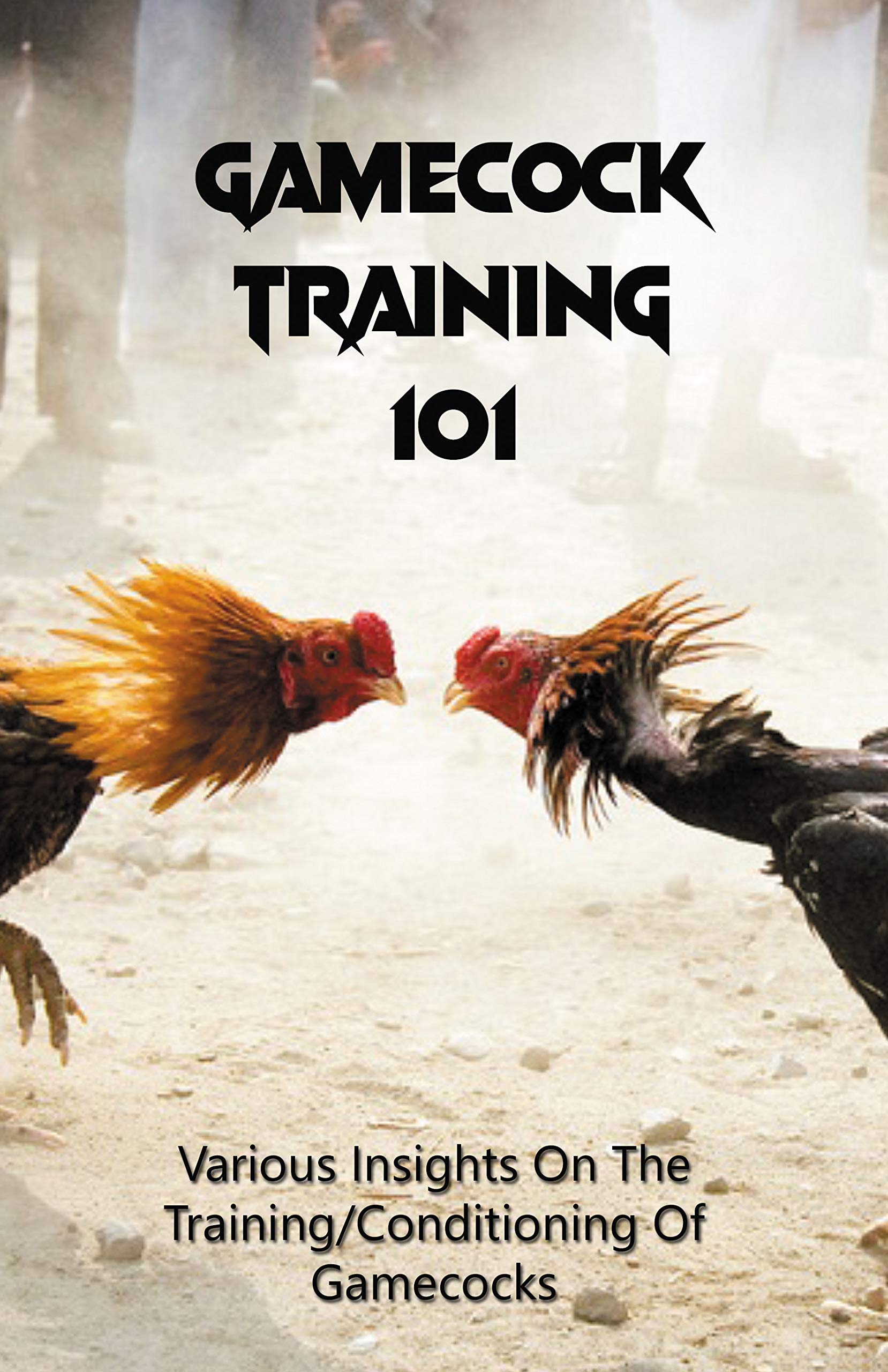Gamecock Training 101: Various Insights On The Training/Conditioning Of ...