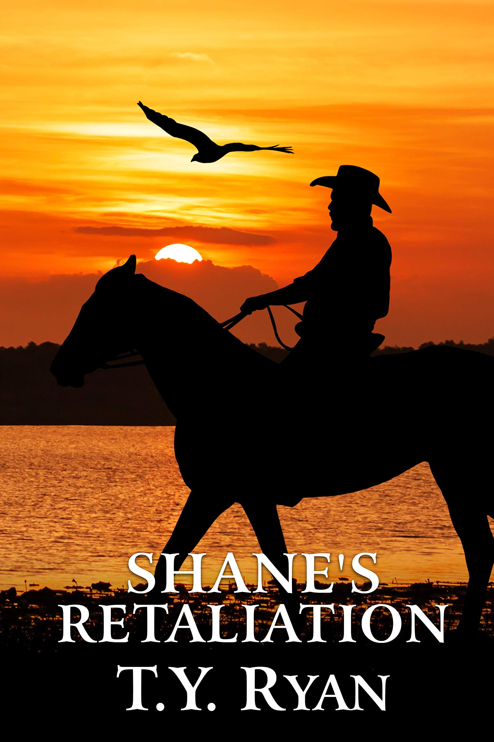 Shane's Retaliation by T.Y. Ryan | Goodreads