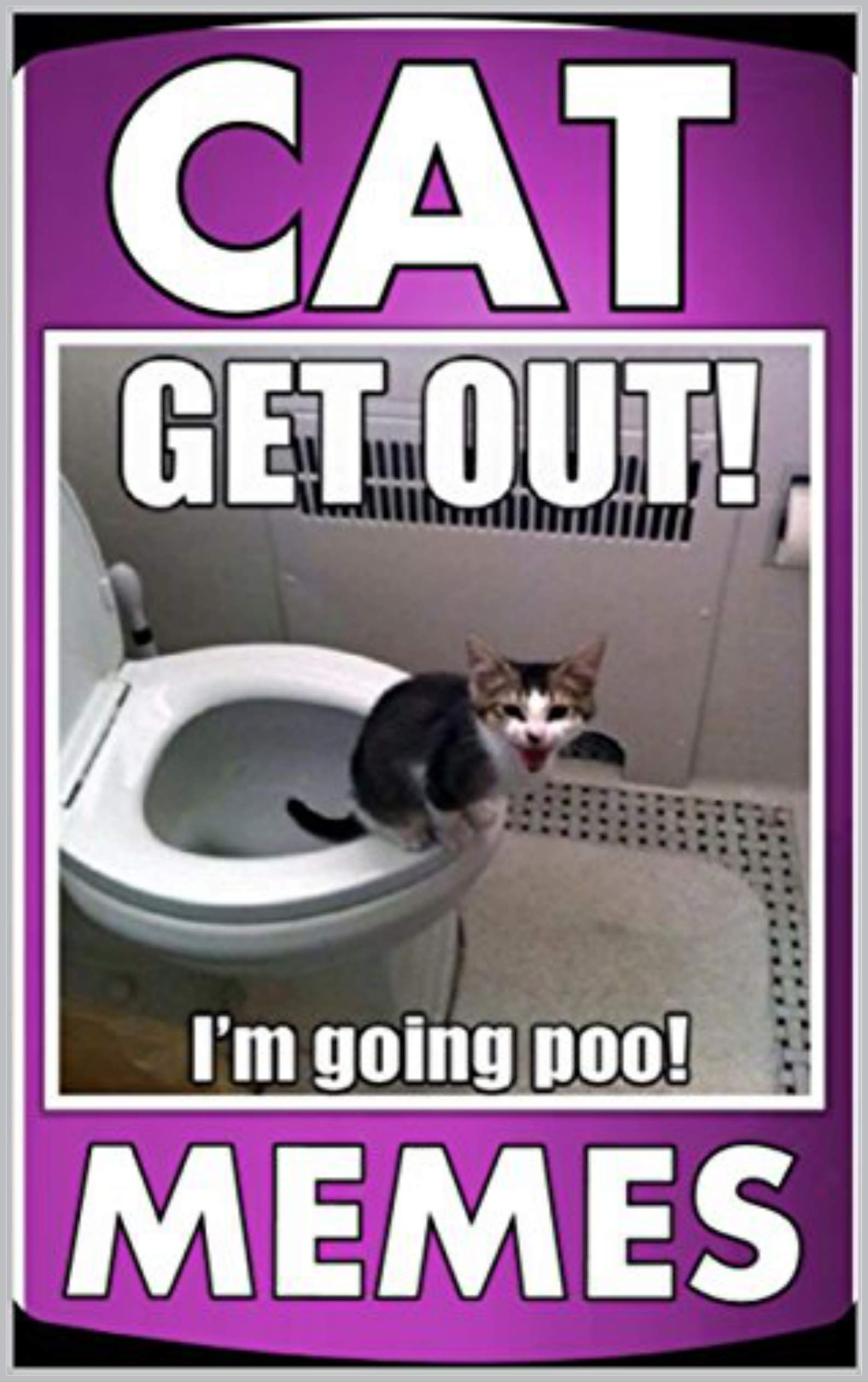 CAT M£M£S SPECIAL: Hilarious Cattos Doing Their Mad Thing LOL CAT M£M£S ...