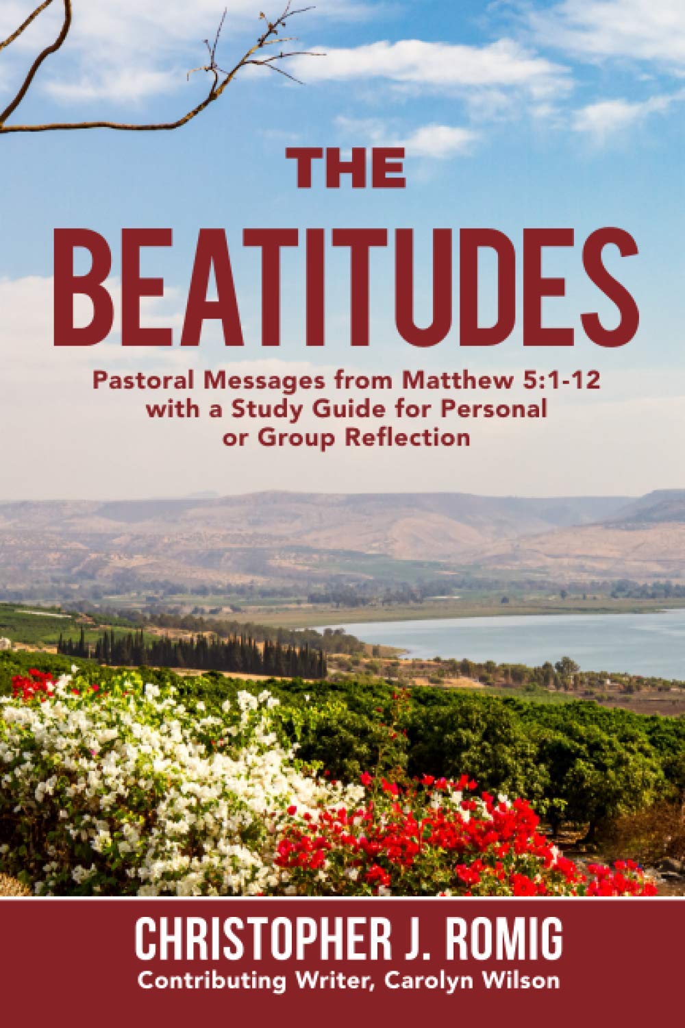 The Beatitudes: Pastoral Messages from Matthew 5:1-12 with a Study ...