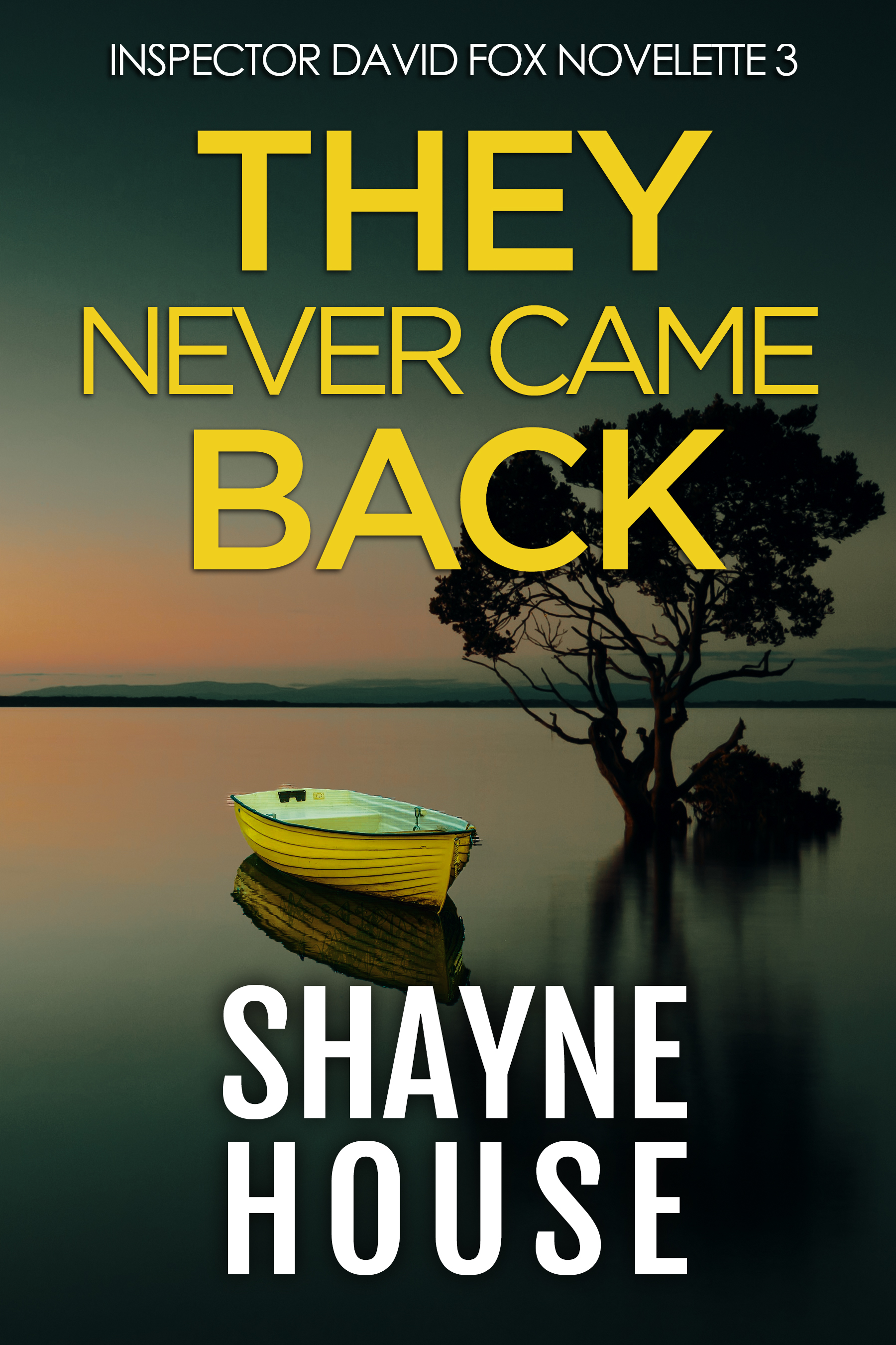 They Never Came Back by Shayne House | Goodreads