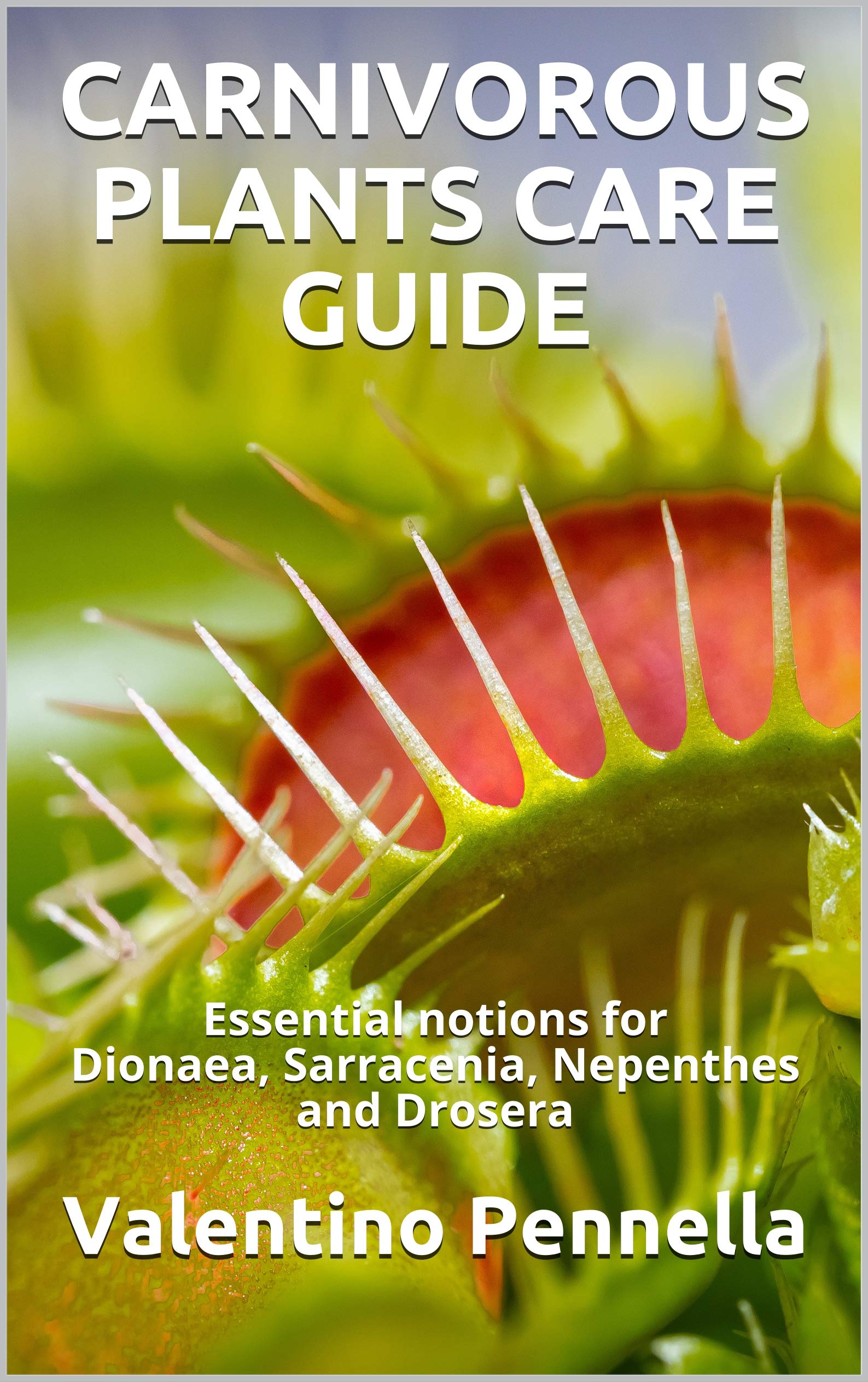 CARNIVOROUS PLANTS CARE GUIDE: Essential notions for Dionaea ...