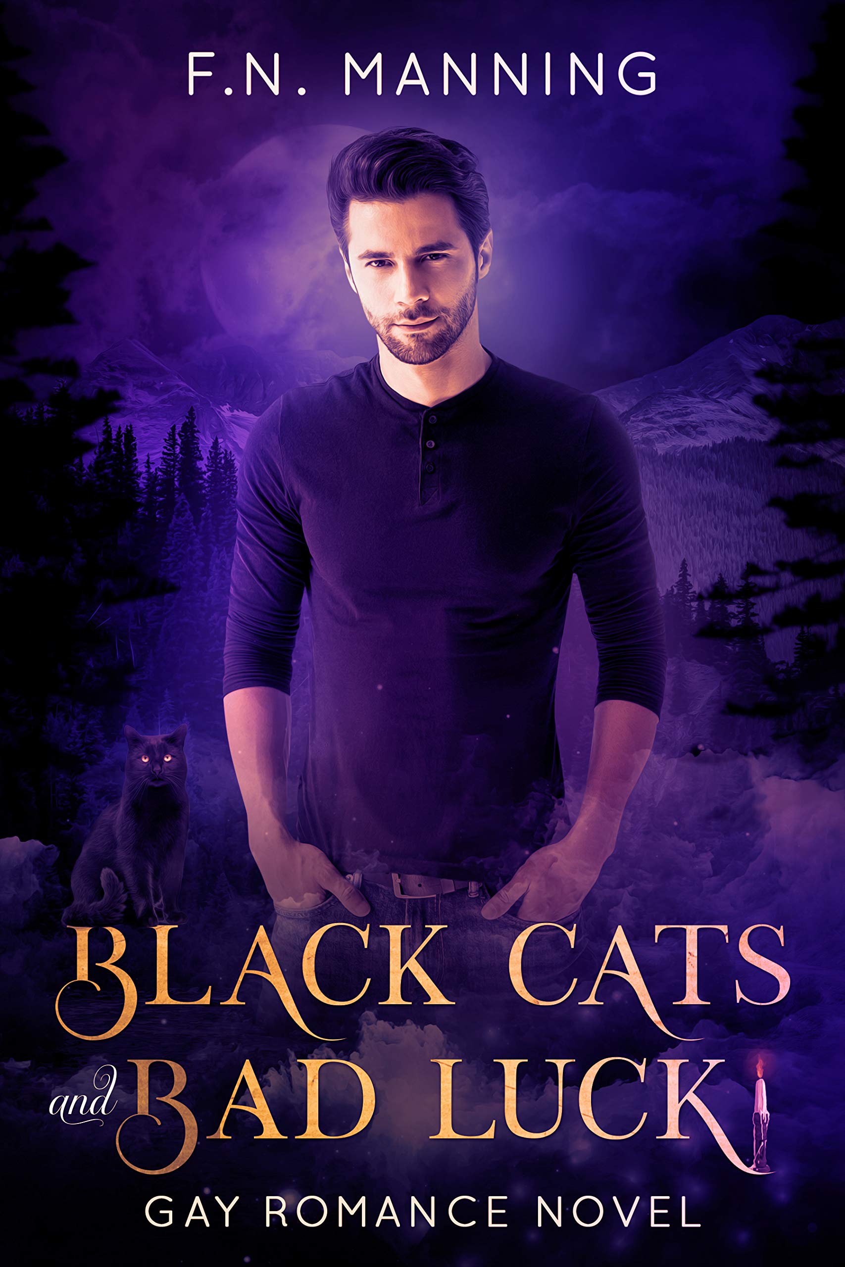 Black Cats and Bad Luck (Ward Magic, #1) by F.N. Manning | Goodreads