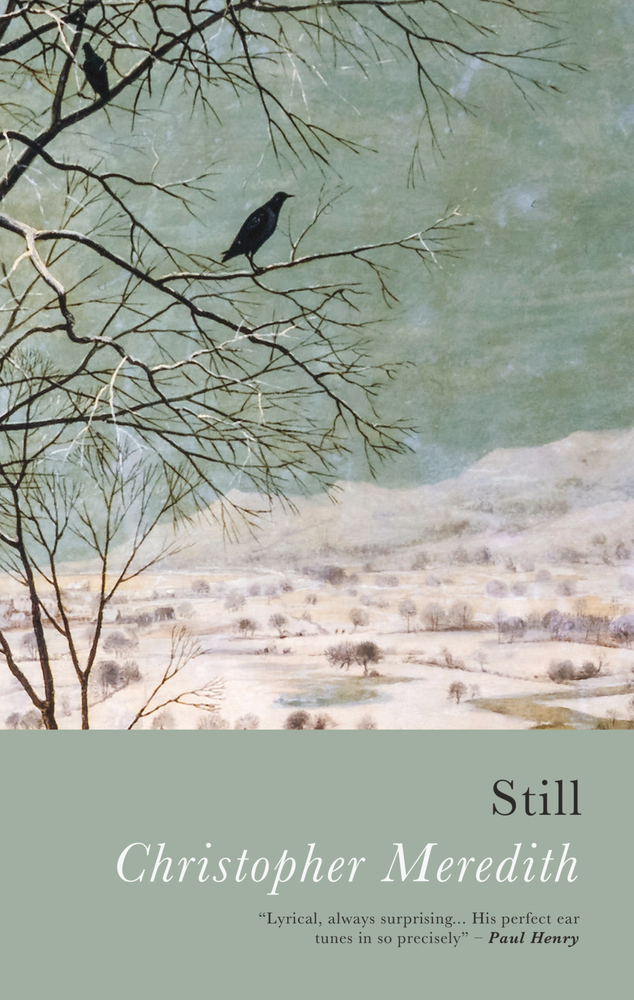 Still by Christopher Meredith | Goodreads