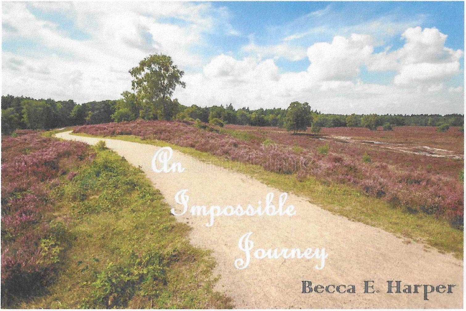 An Impossible Journey by Becca E. Harper | Goodreads
