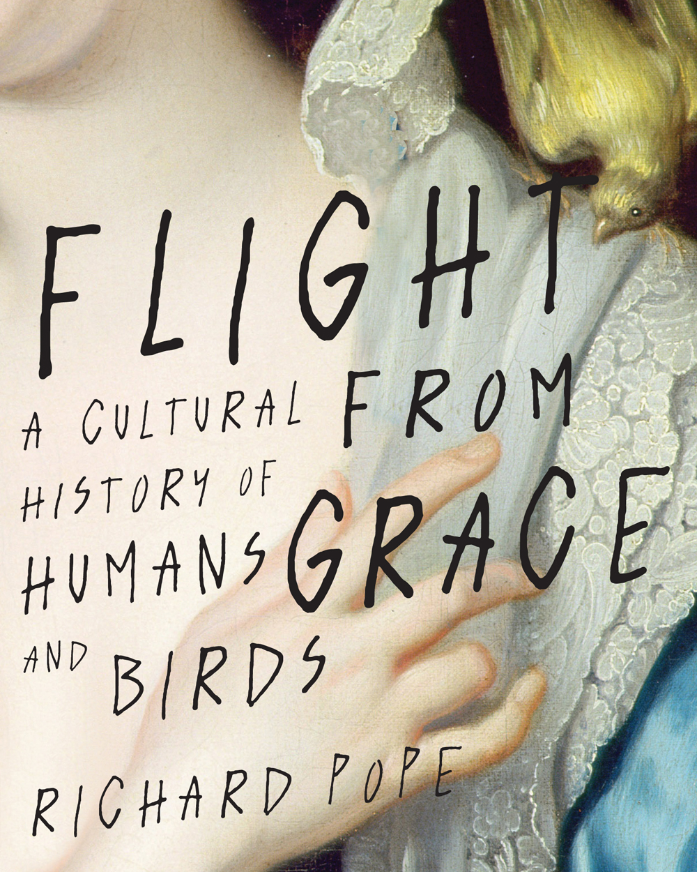 Flight from Grace: A Cultural History of Humans and Birds by Richard ...