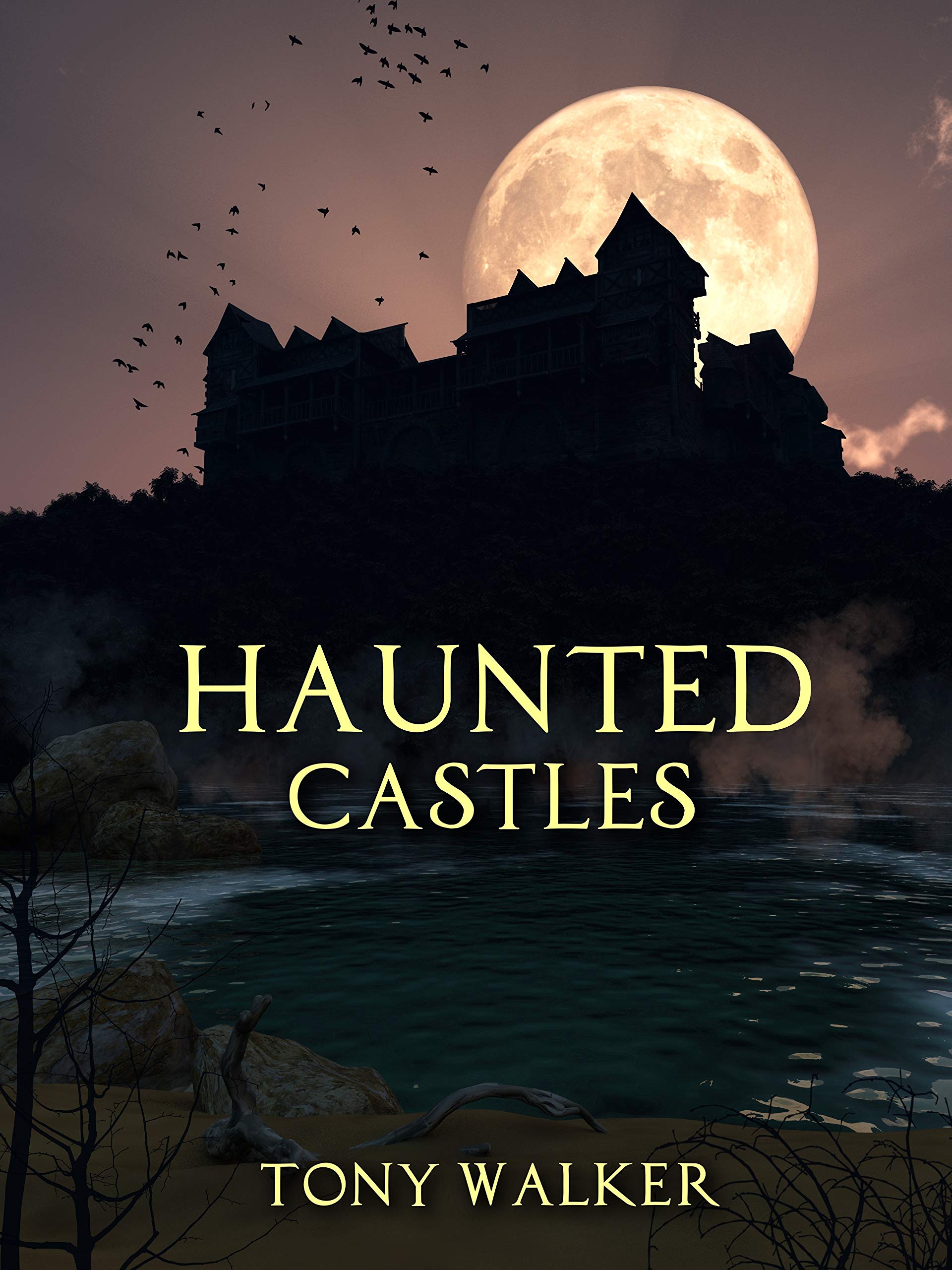 Haunted Castles by Tony Walker | Goodreads