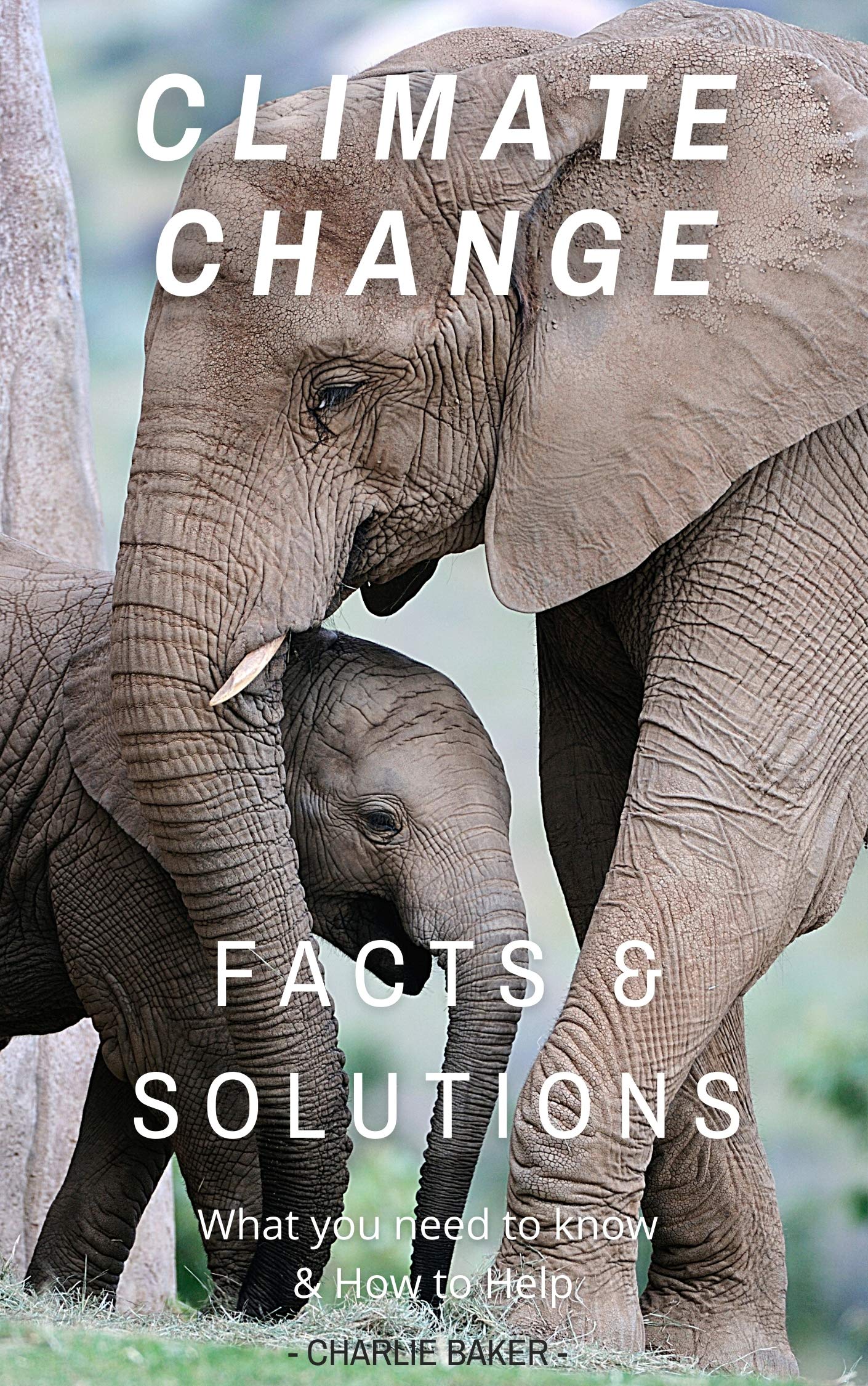 Climate Change Facts & Solutions: What you need to know & How to Help ...