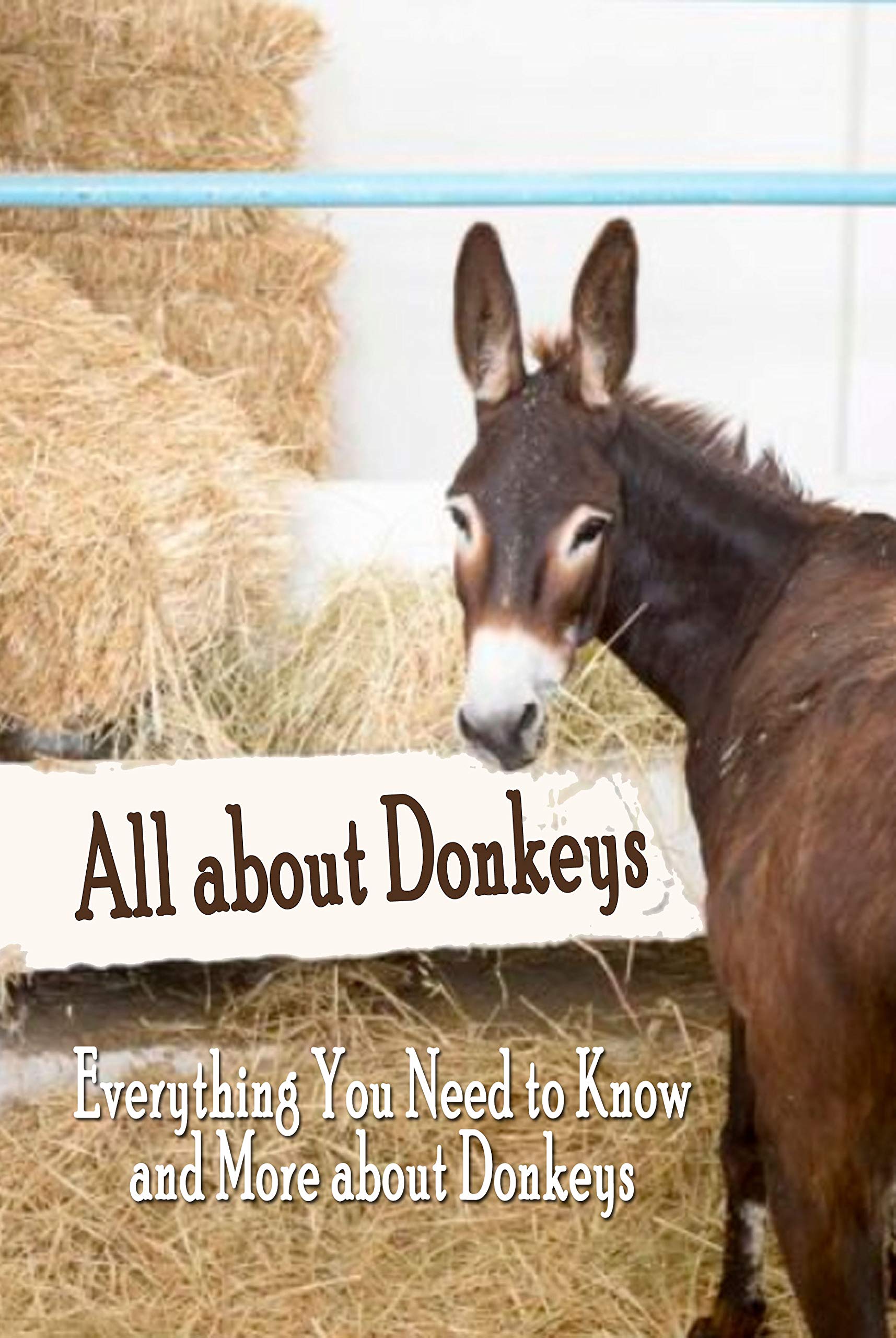 All about Donkeys: Everything You Need to Know and More about Donkeys ...