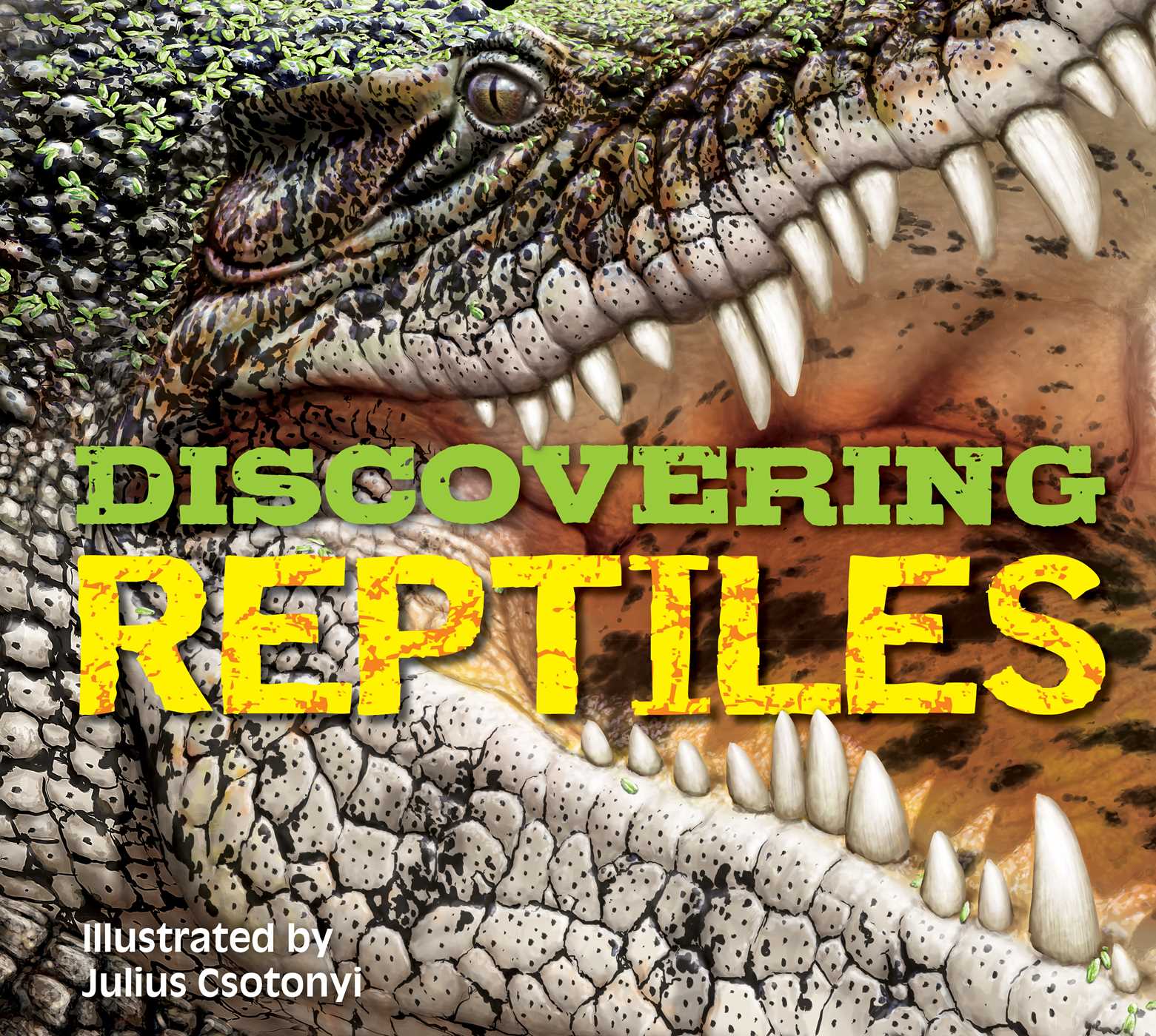 Discovering Reptiles: The Ultimate Handbook to the Reptiles of the ...